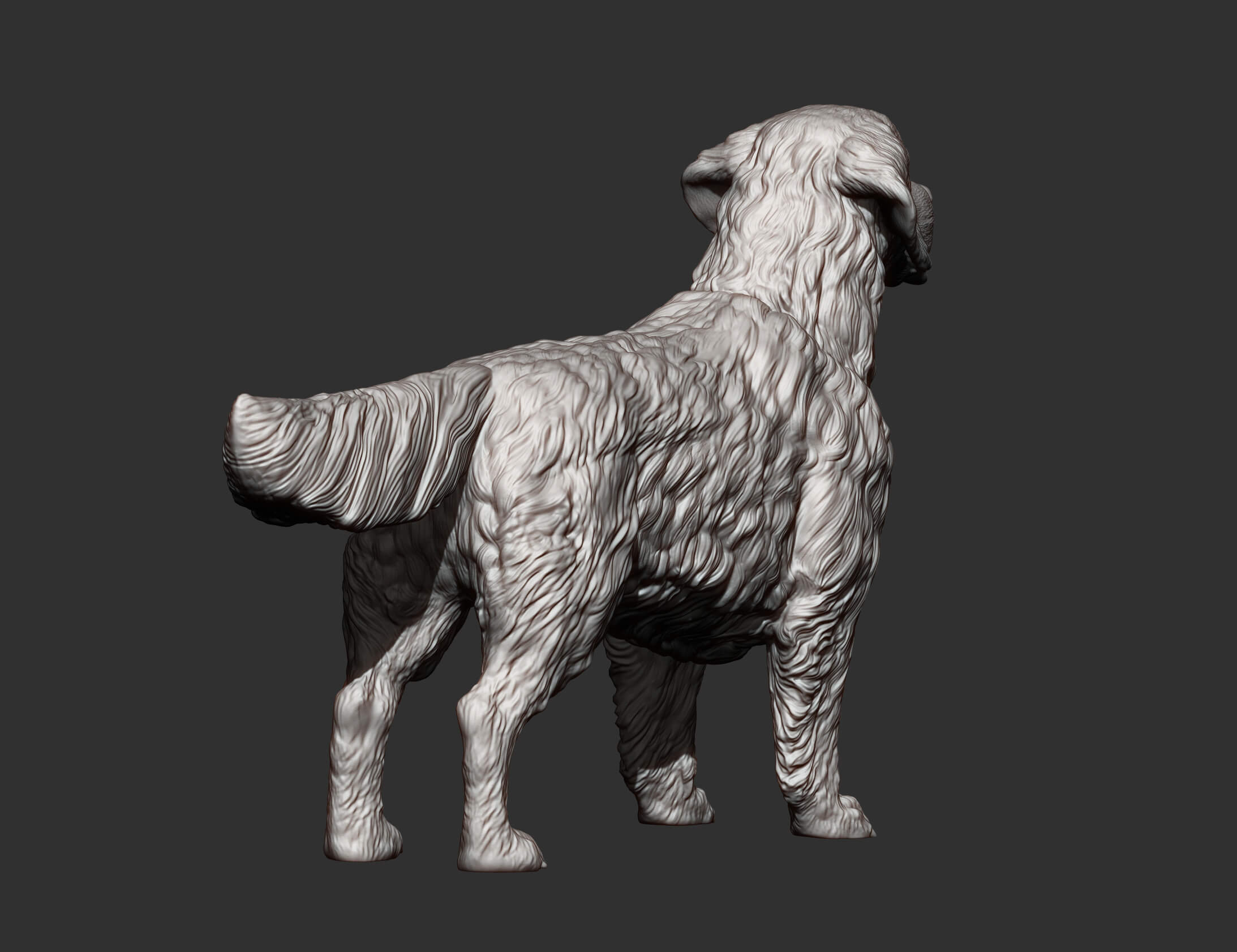 Golden Retriever - 3D Model by Alexander3dart
