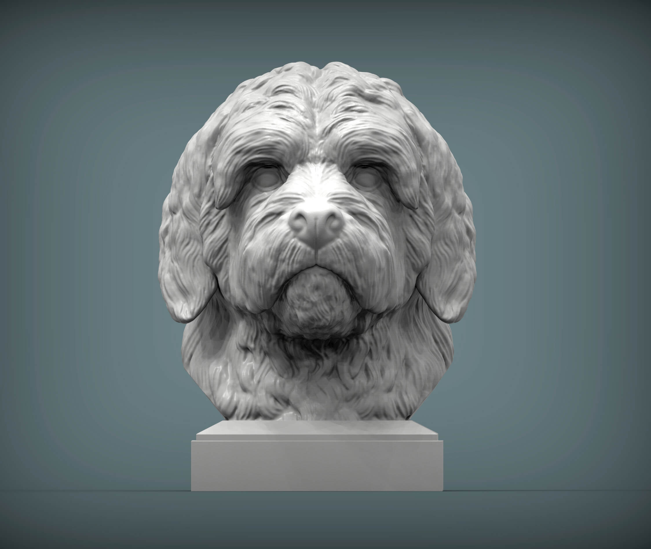 Goldendoodle Bust 3D Print Model by Alexander3dart