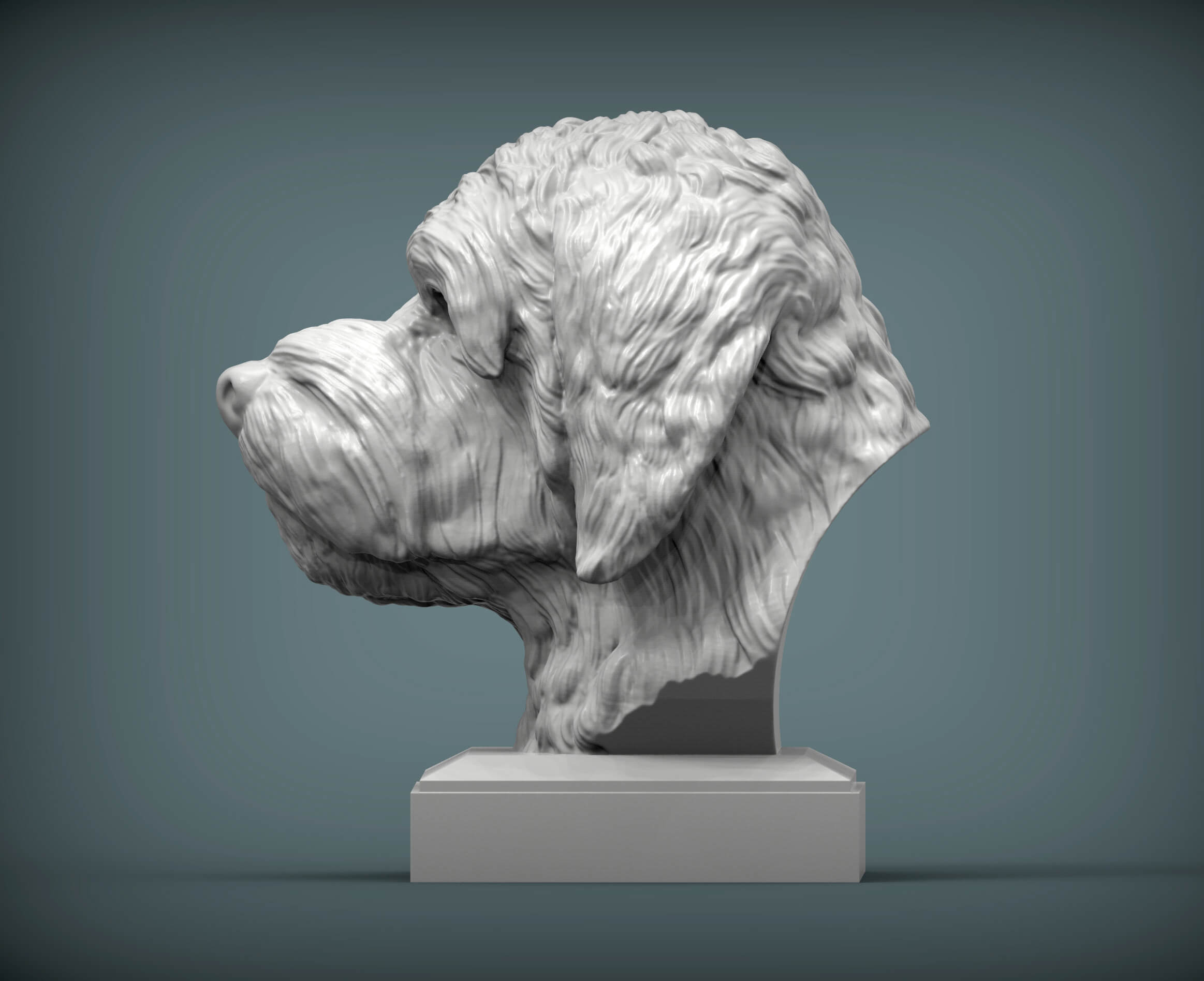 Goldendoodle Bust 3D Print Model by Alexander3dart
