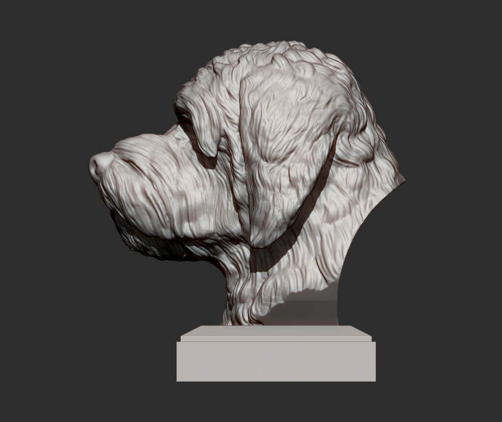 Goldendoodle Bust 3D Print Model by Alexander3dart