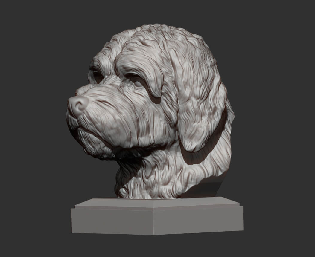 Goldendoodle Bust 3D Print Model by Alexander3dart