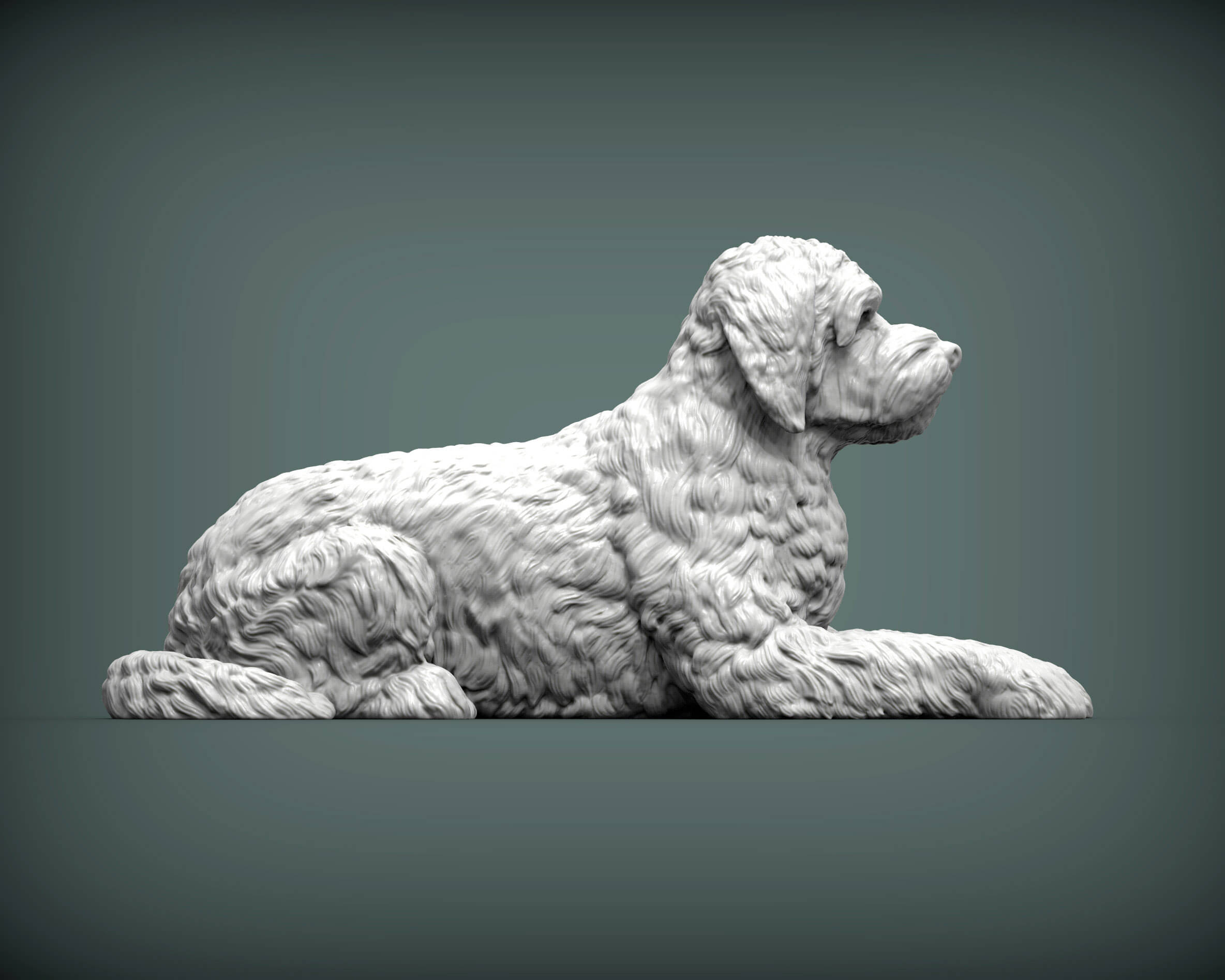 Goldendoodle Lies 3D Print Model by Alexander3dart