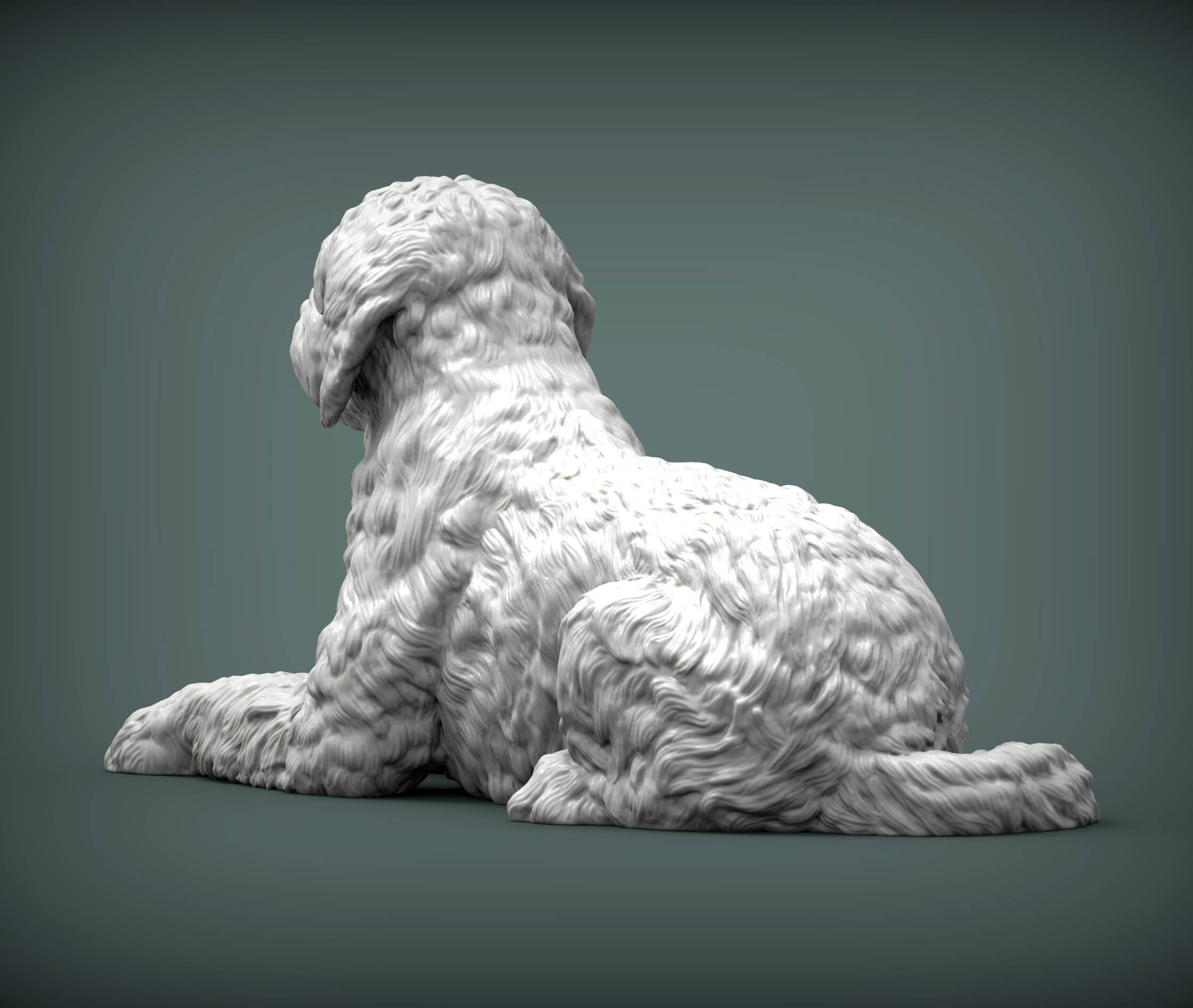 Goldendoodle Lies 3D Print Model by Alexander3dart