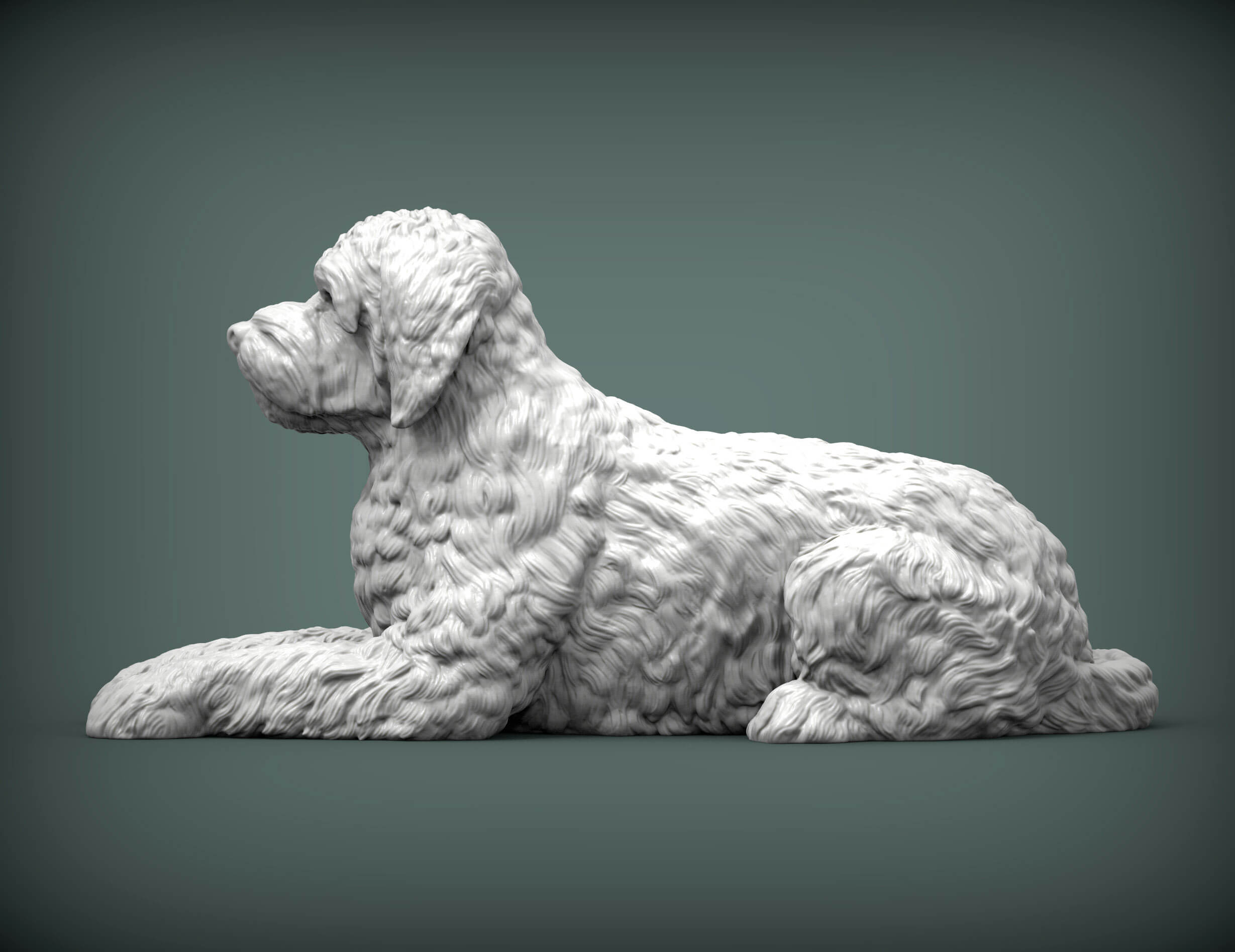 Goldendoodle Lies 3D Print Model by Alexander3dart