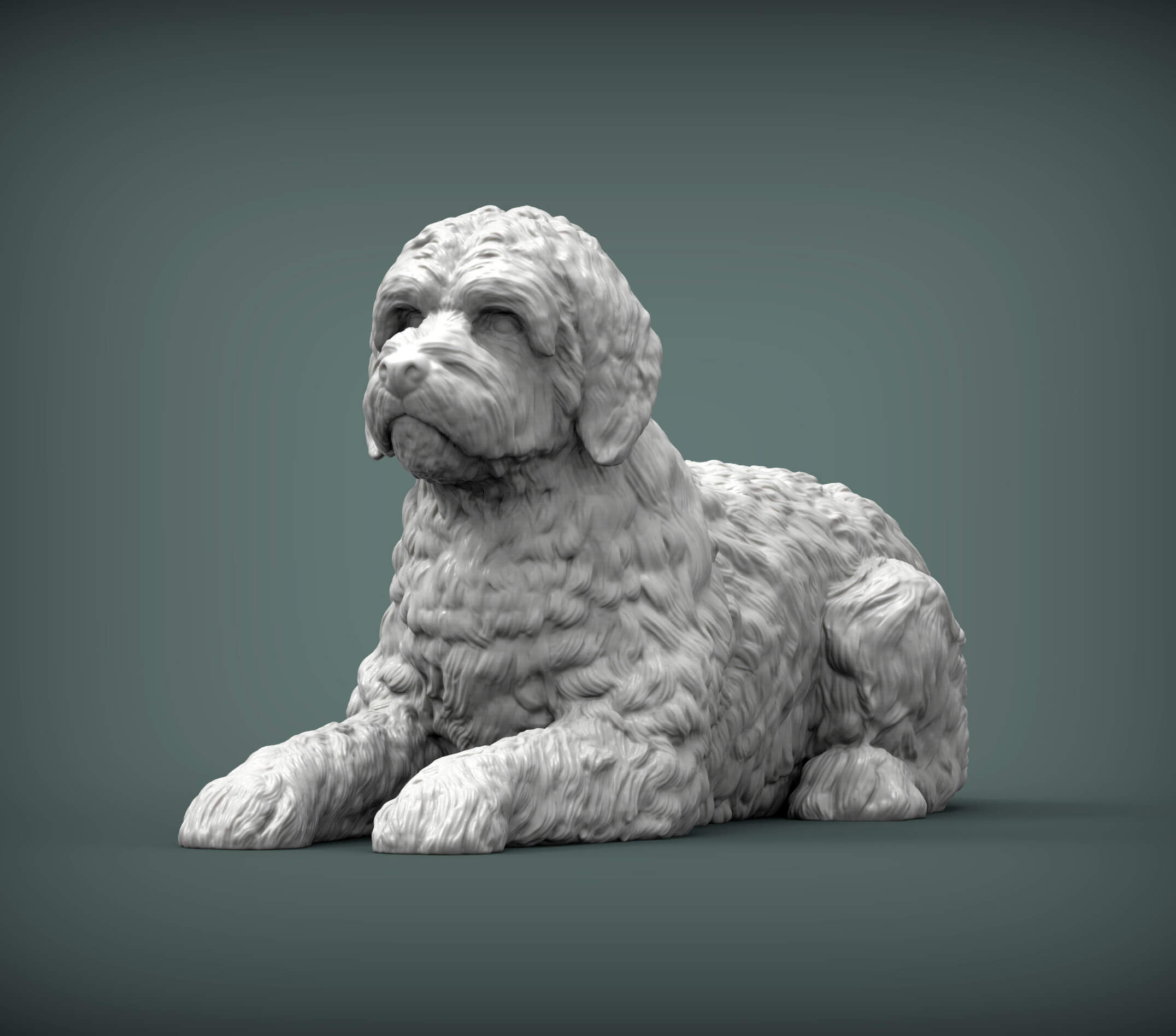Goldendoodle Lies 3D Print Model by Alexander3dart