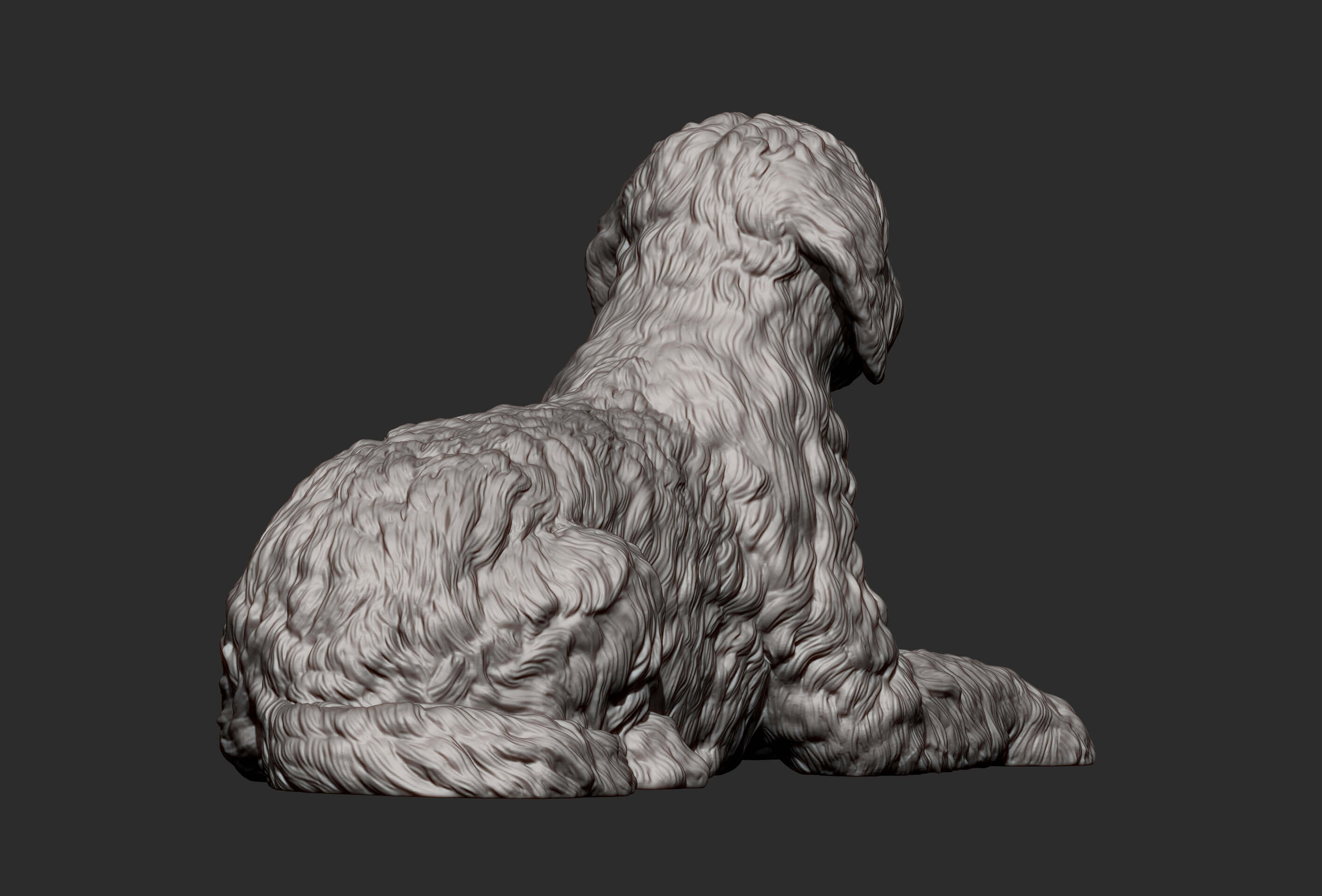 Goldendoodle Lies 3D Print Model by Alexander3dart