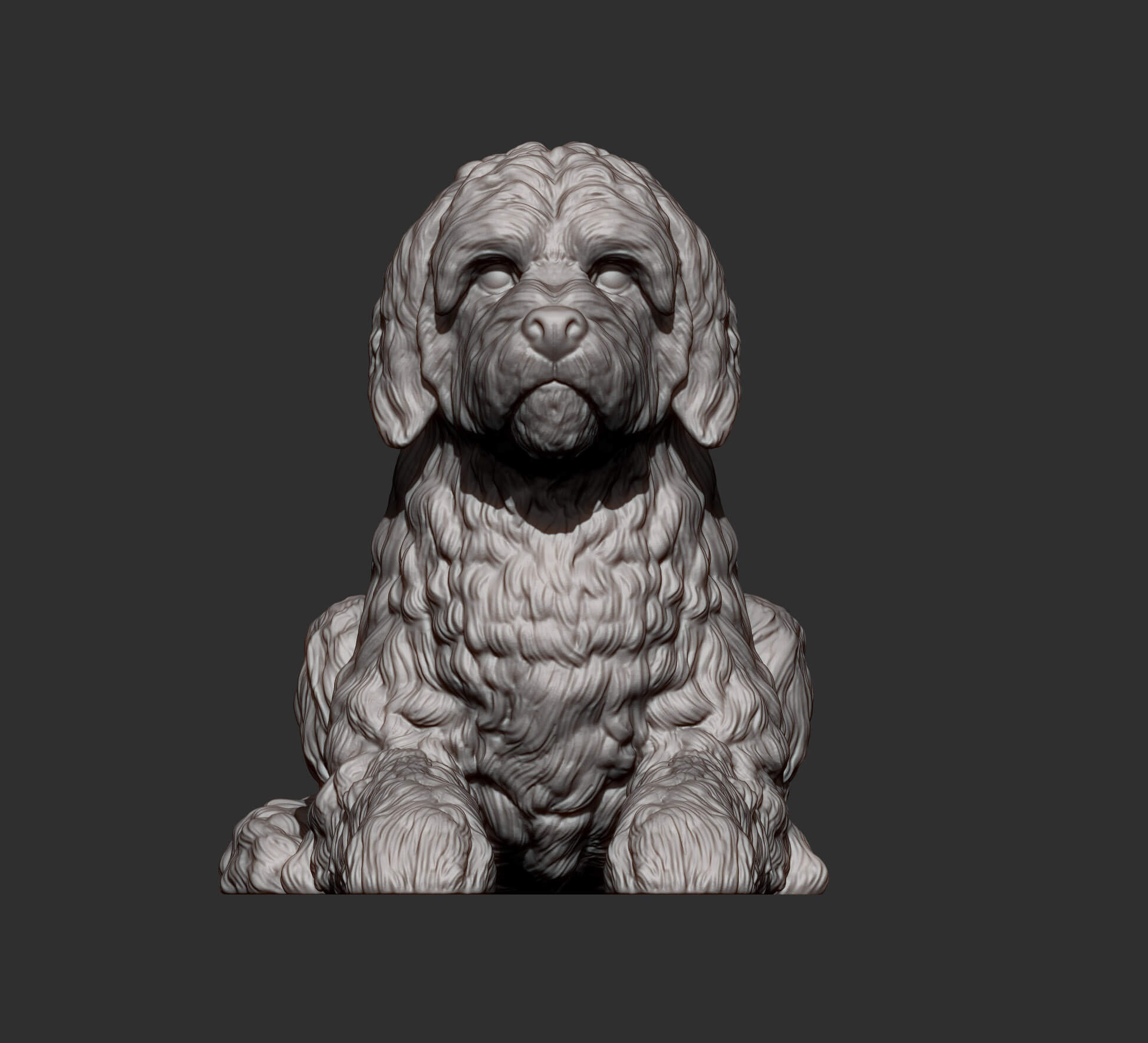 Goldendoodle Lies 3D Print Model by Alexander3dart