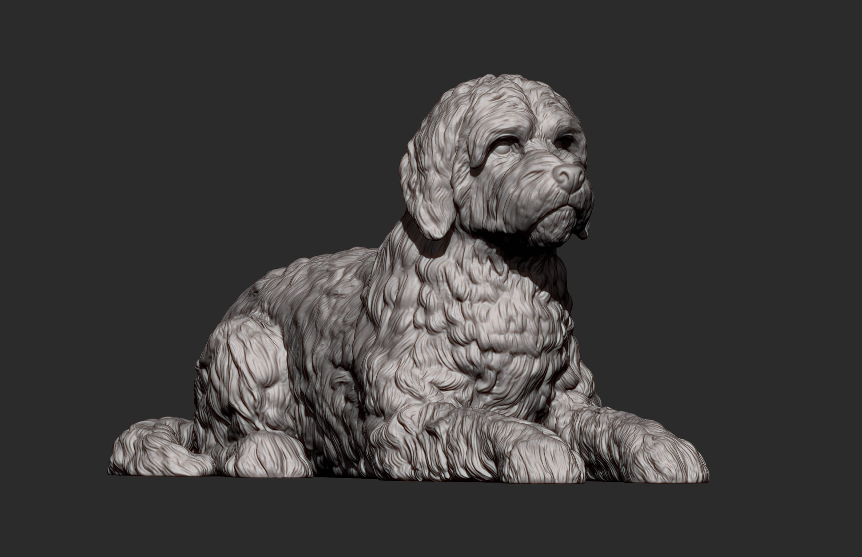 Goldendoodle Lies 3D Print Model by Alexander3dart