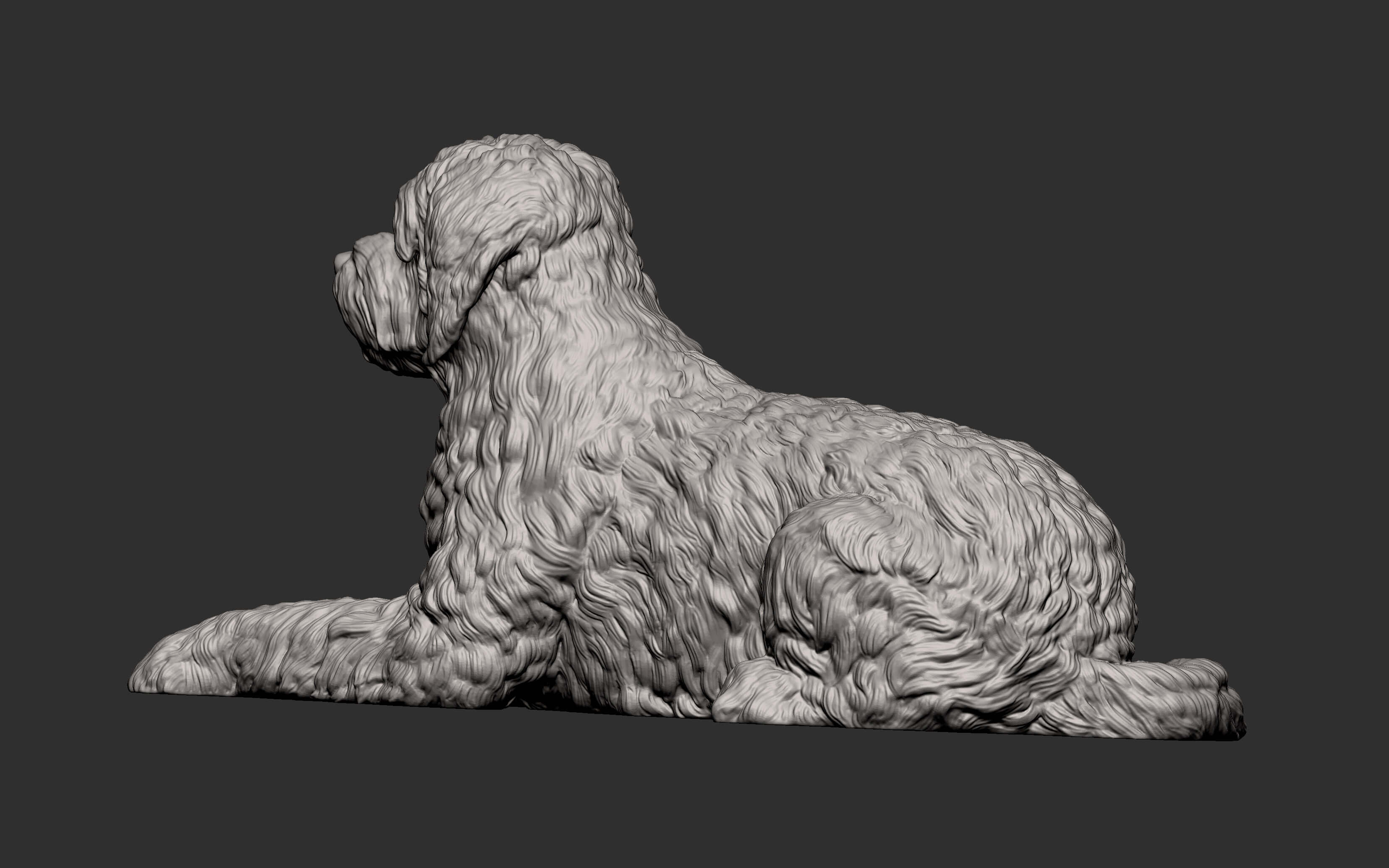 Goldendoodle Lies 3D Print Model by Alexander3dart