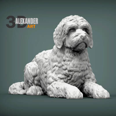 Goldendoodle Lies 3D Print Model by Alexander3dart