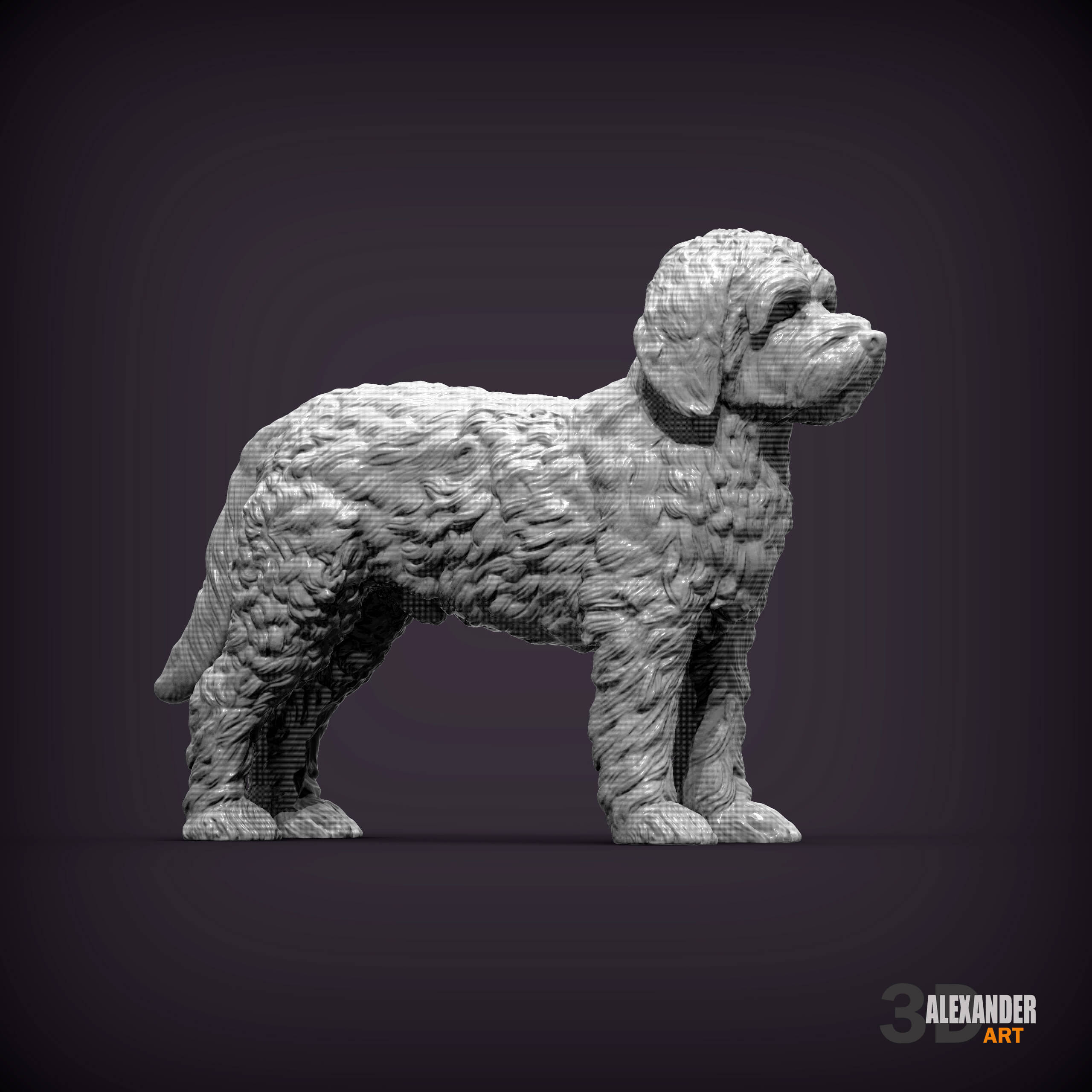 Goldendoodle Standing - 3D Model by Alexander3dart
