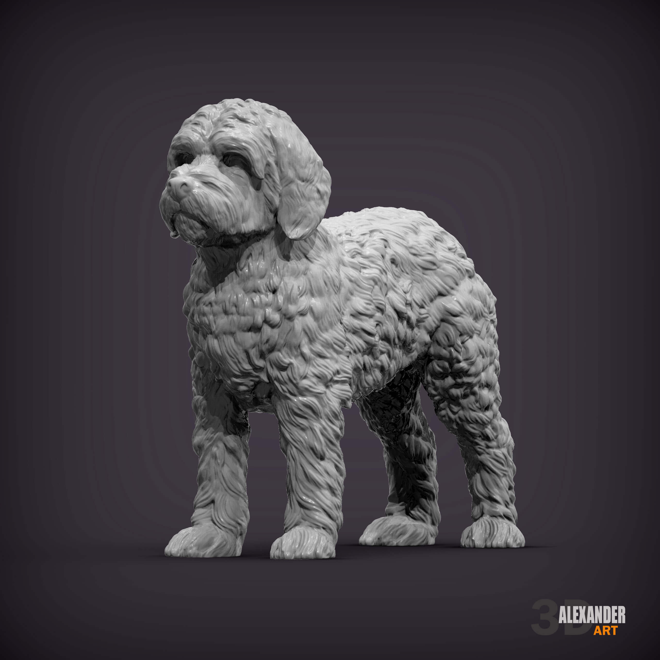Goldendoodle Standing - 3D Model by Alexander3dart