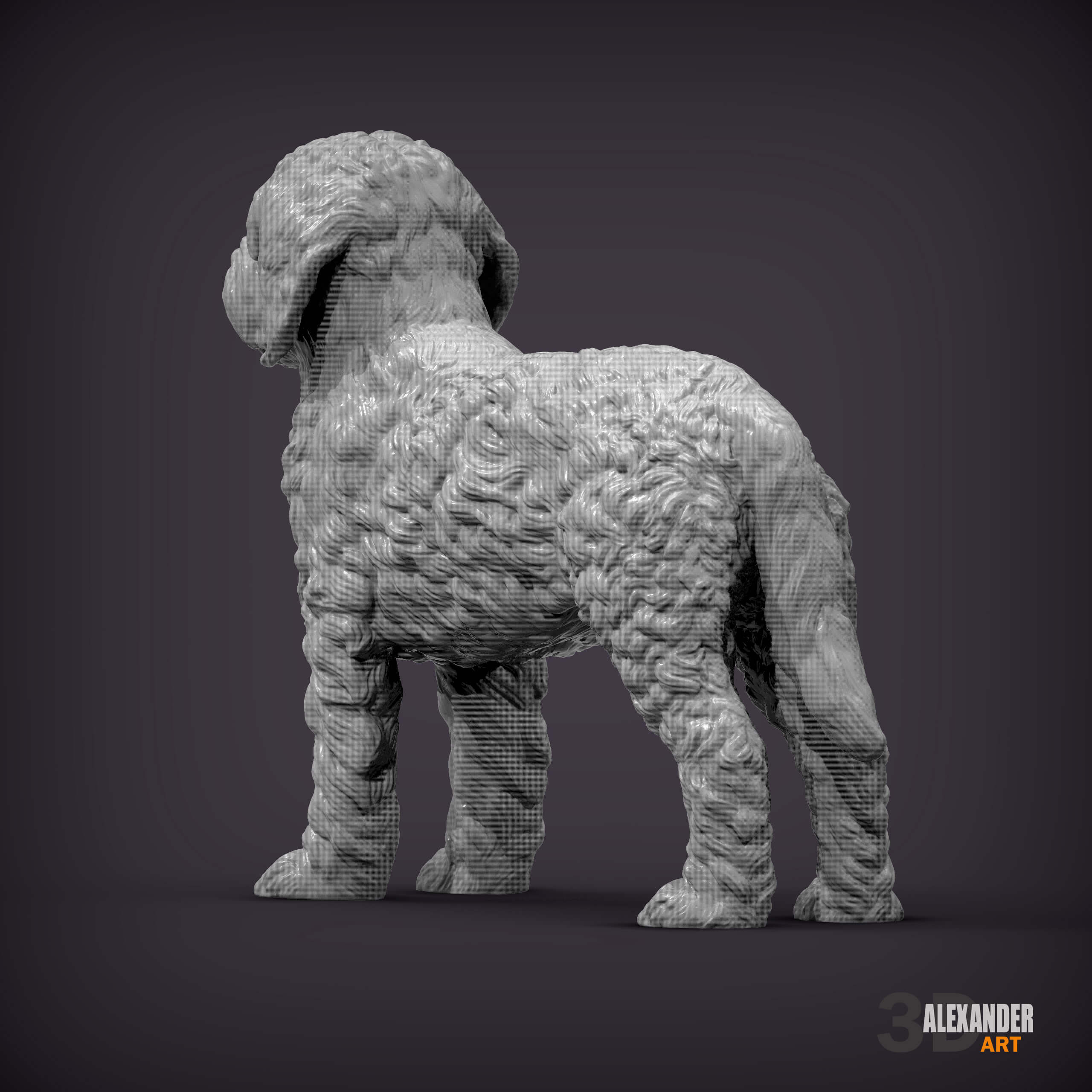 Goldendoodle Standing - 3D Model by Alexander3dart