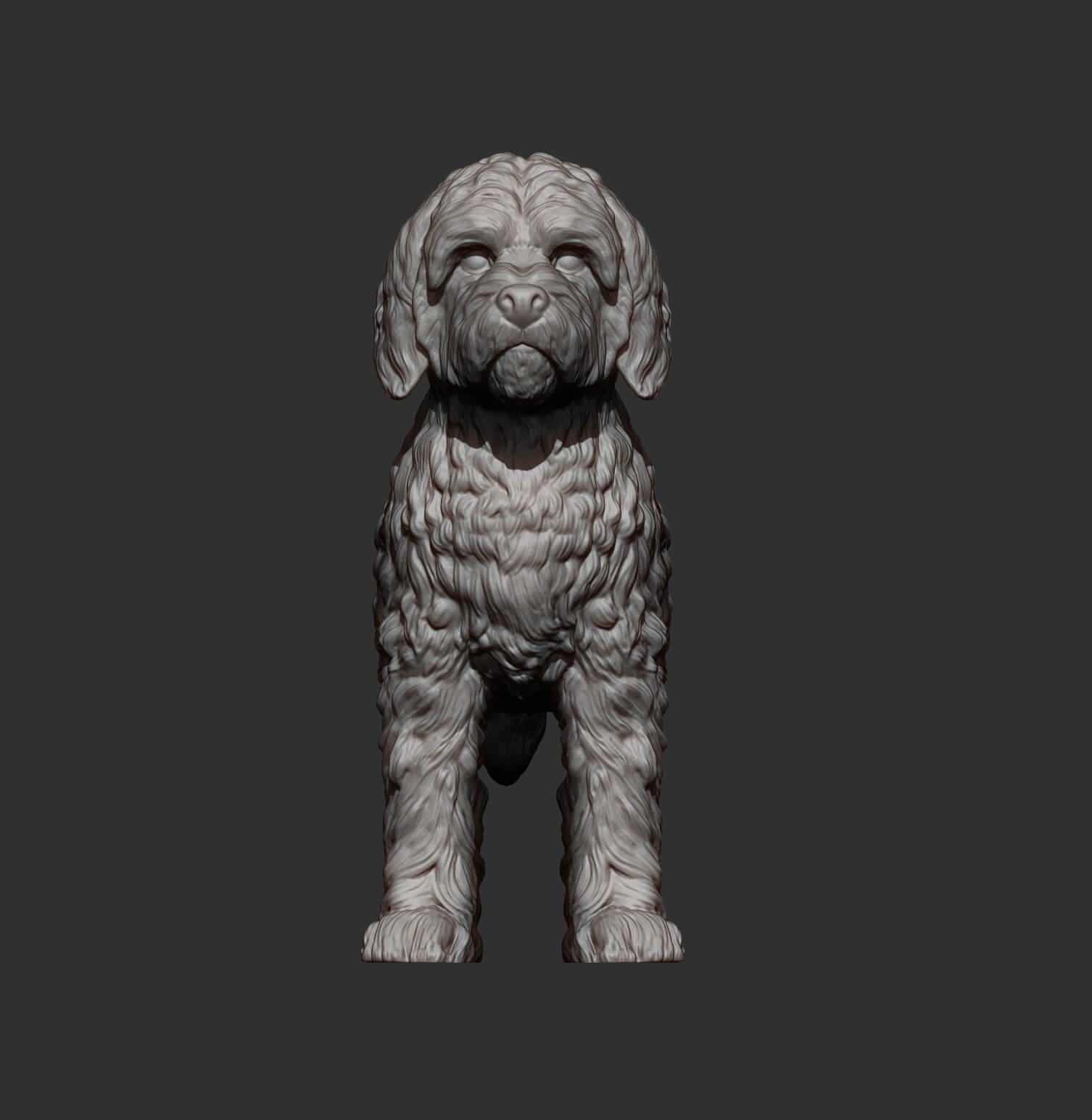 Goldendoodle Standing - 3D Model by Alexander3dart