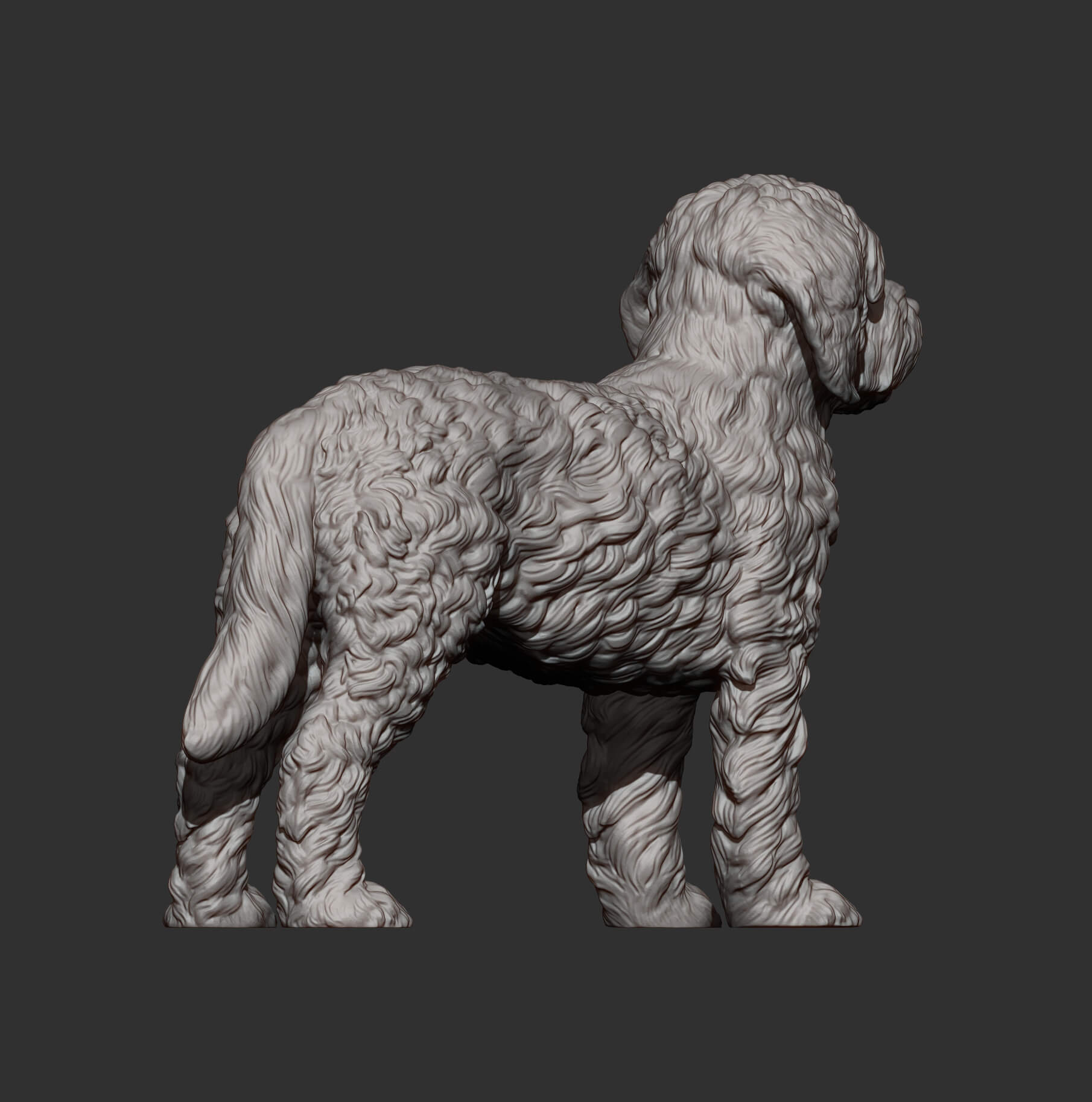 Goldendoodle Standing - 3D Model by Alexander3dart