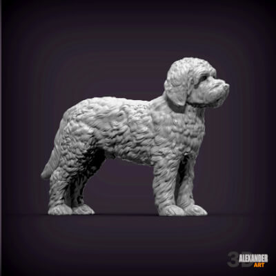 Goldendoodle Standing - 3D Model by Alexander3dart