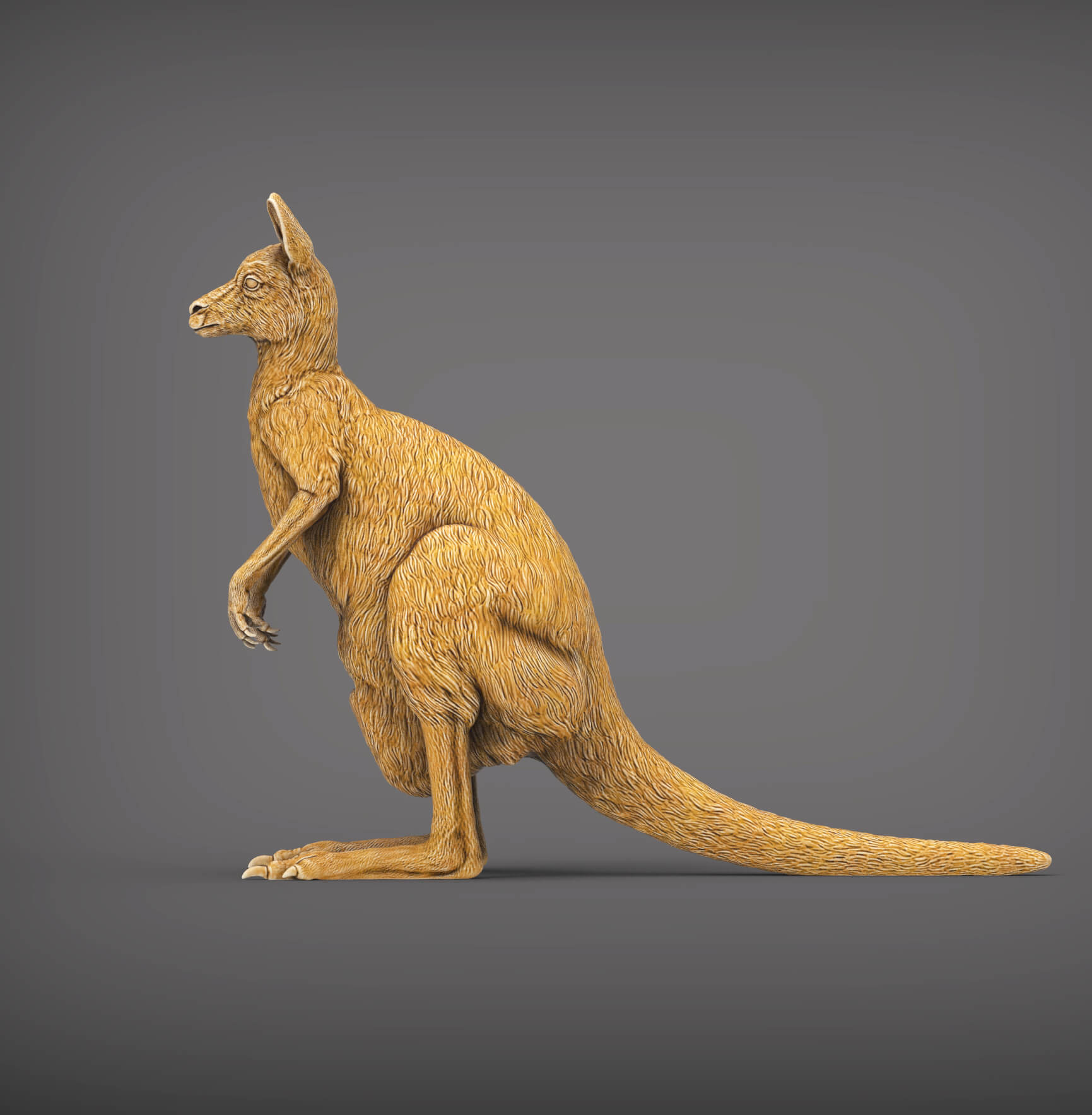 Gray kangaroo sculpture - 3D Model by Alexander3dart