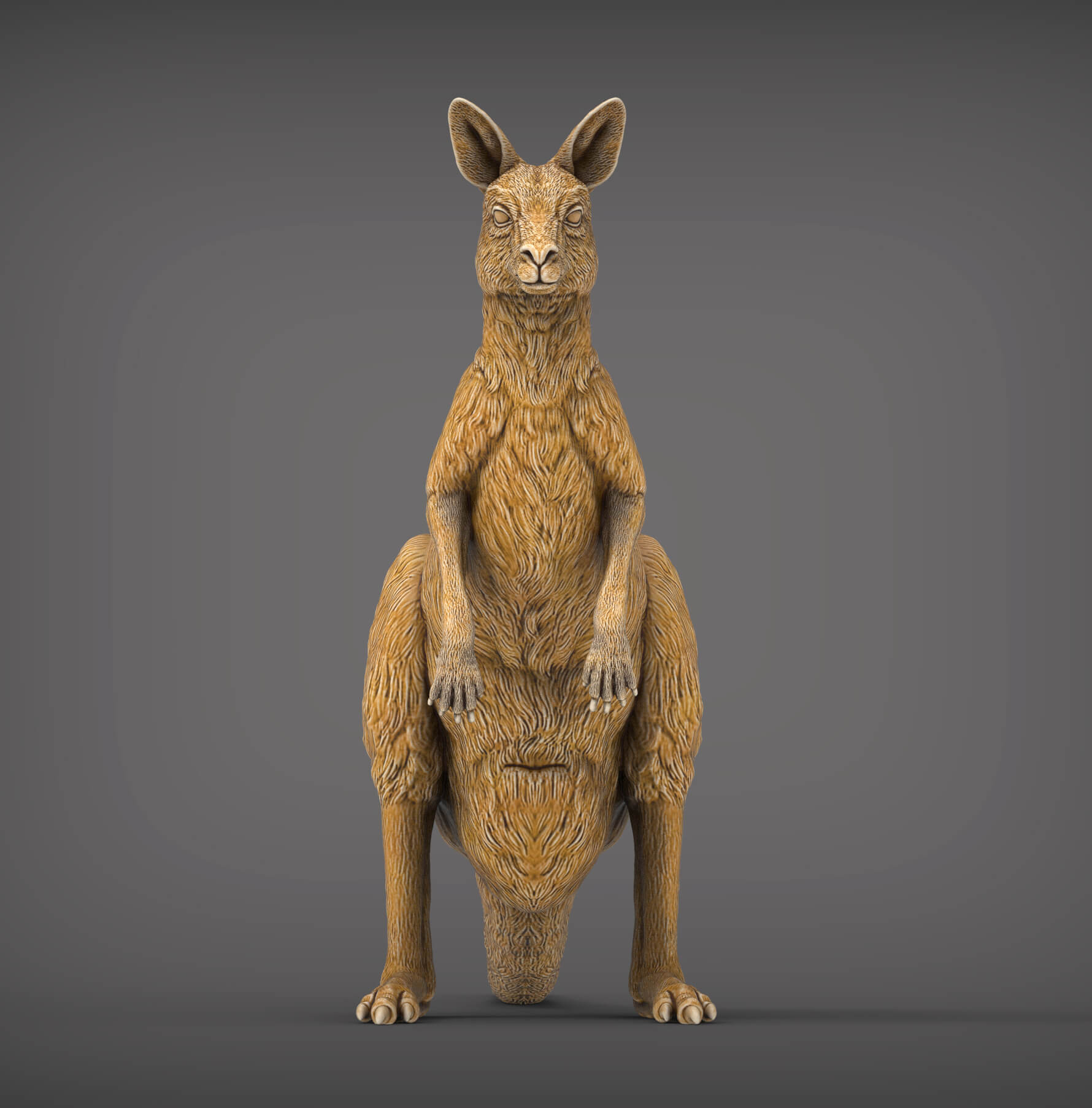 Gray kangaroo sculpture - 3D Model by Alexander3dart