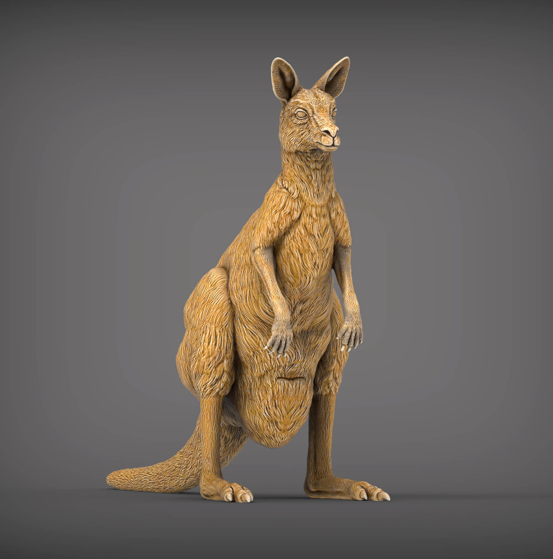 Gray kangaroo sculpture - 3D Model by Alexander3dart