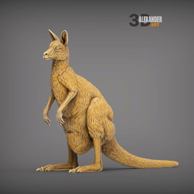 Gray kangaroo sculpture - 3D Model by Alexander3dart