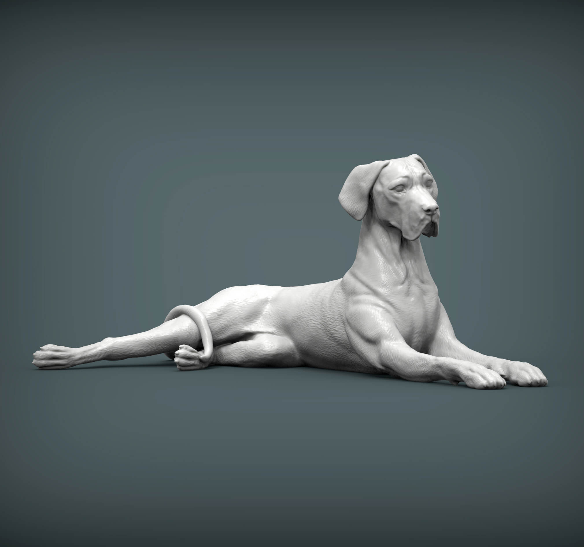 Great Dane Lying Down - 3D Model by Alexander3dart