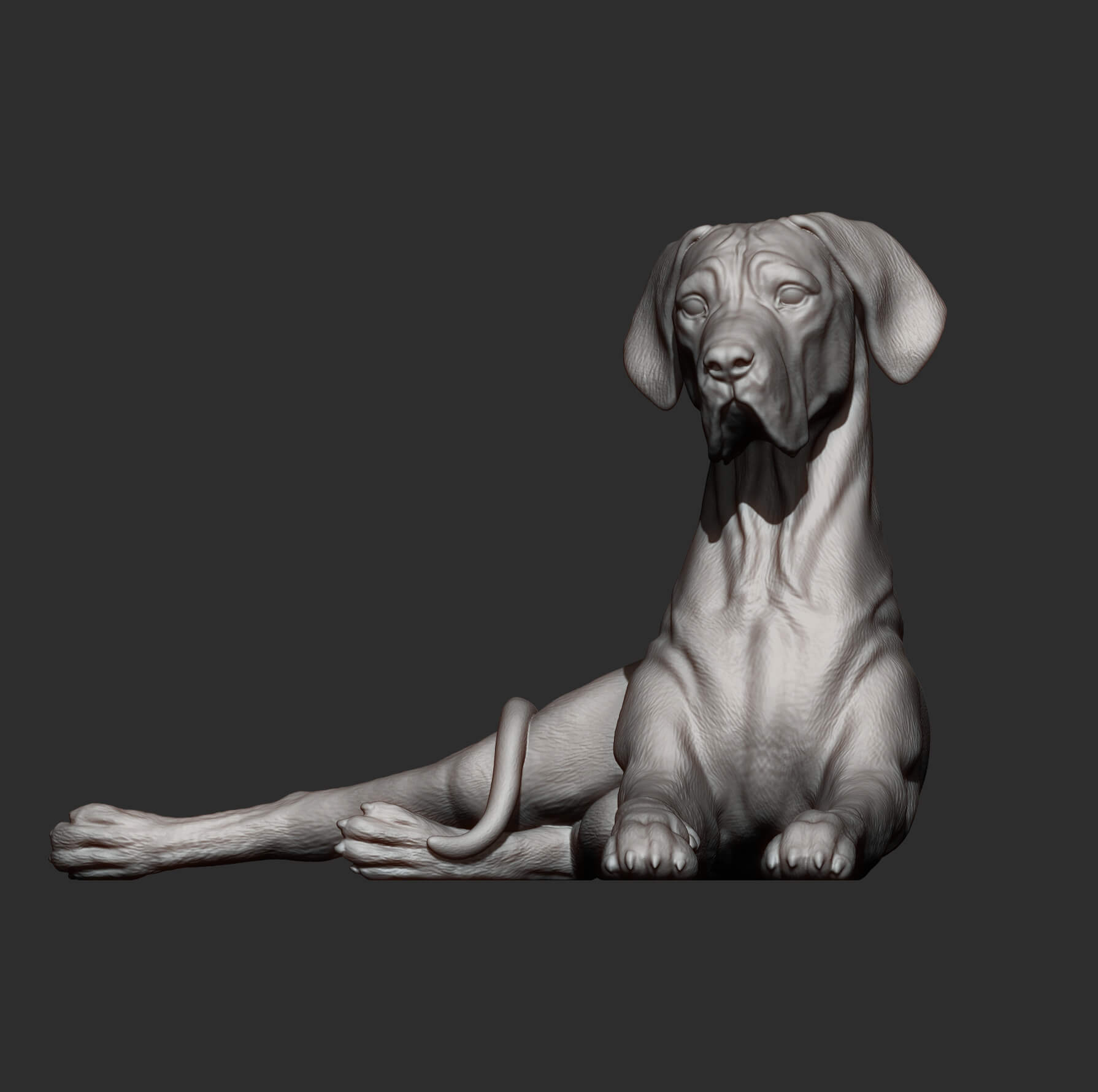 Great Dane Lying Down - 3D Model by Alexander3dart