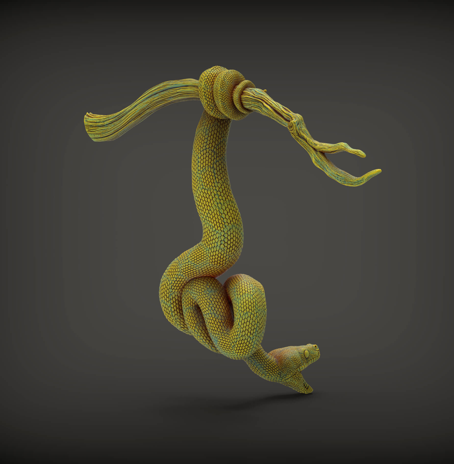 Green tree python sculpture - 3D Model by Alexander3dart