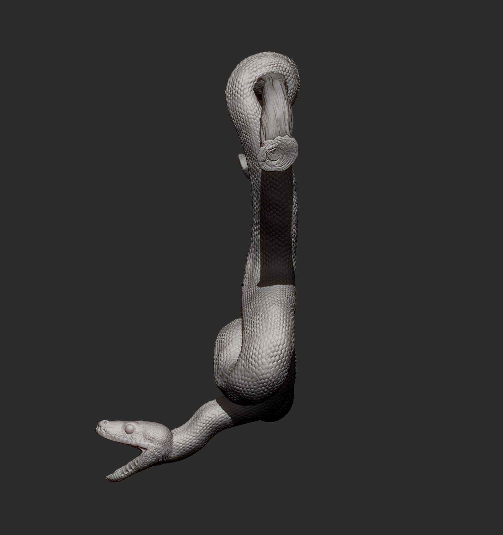 Green tree python sculpture - 3D Model by Alexander3dart