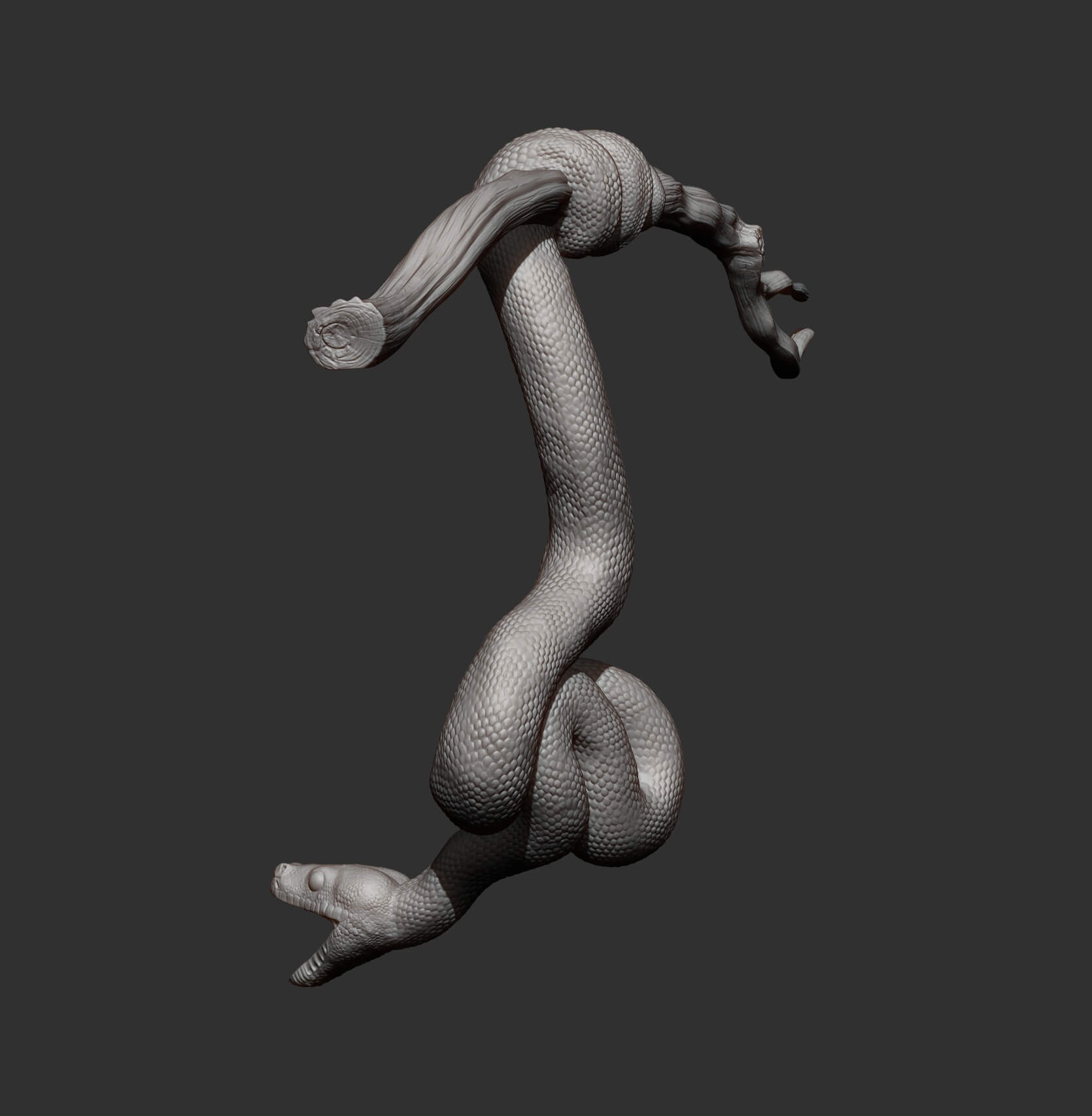 Green tree python sculpture - 3D Model by Alexander3dart