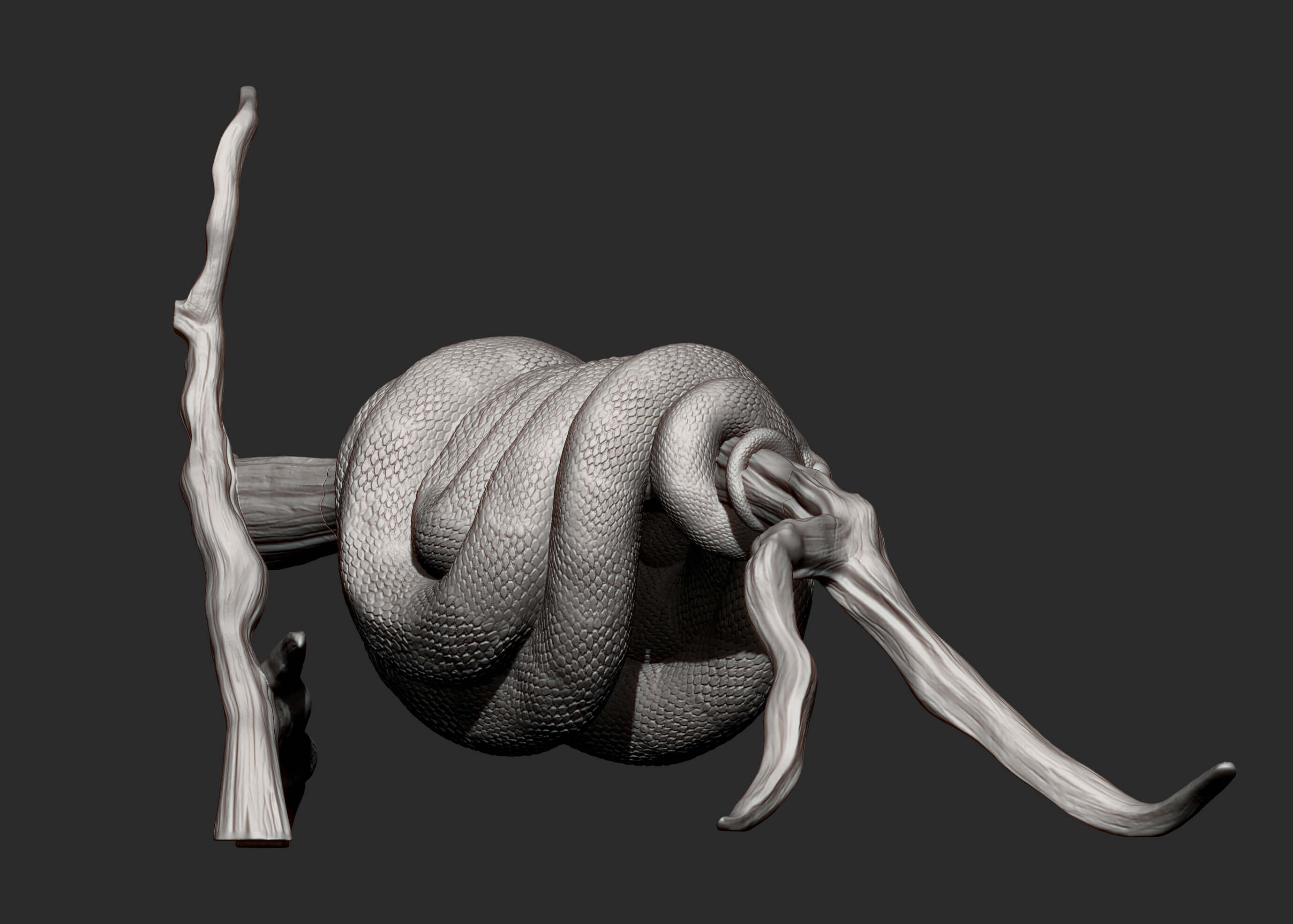 Green Tree Python - 3D Model by Alexander3dart