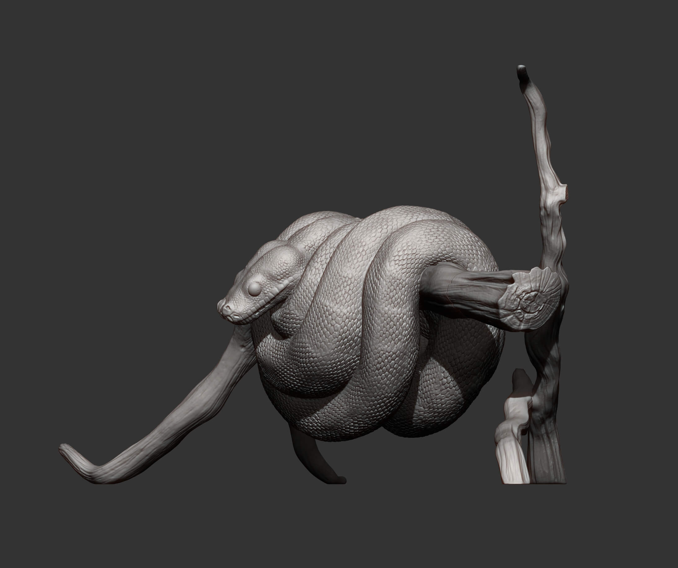 Green Tree Python - 3D Model by Alexander3dart