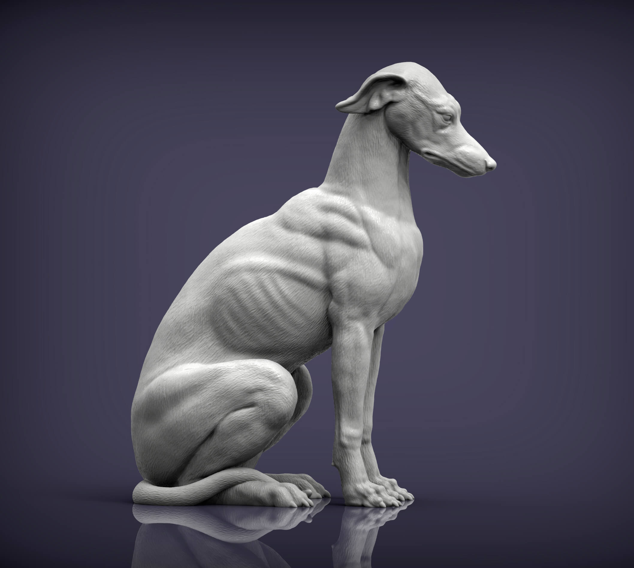 Greyhound Sitting 3D Print Model by Alexander3dart