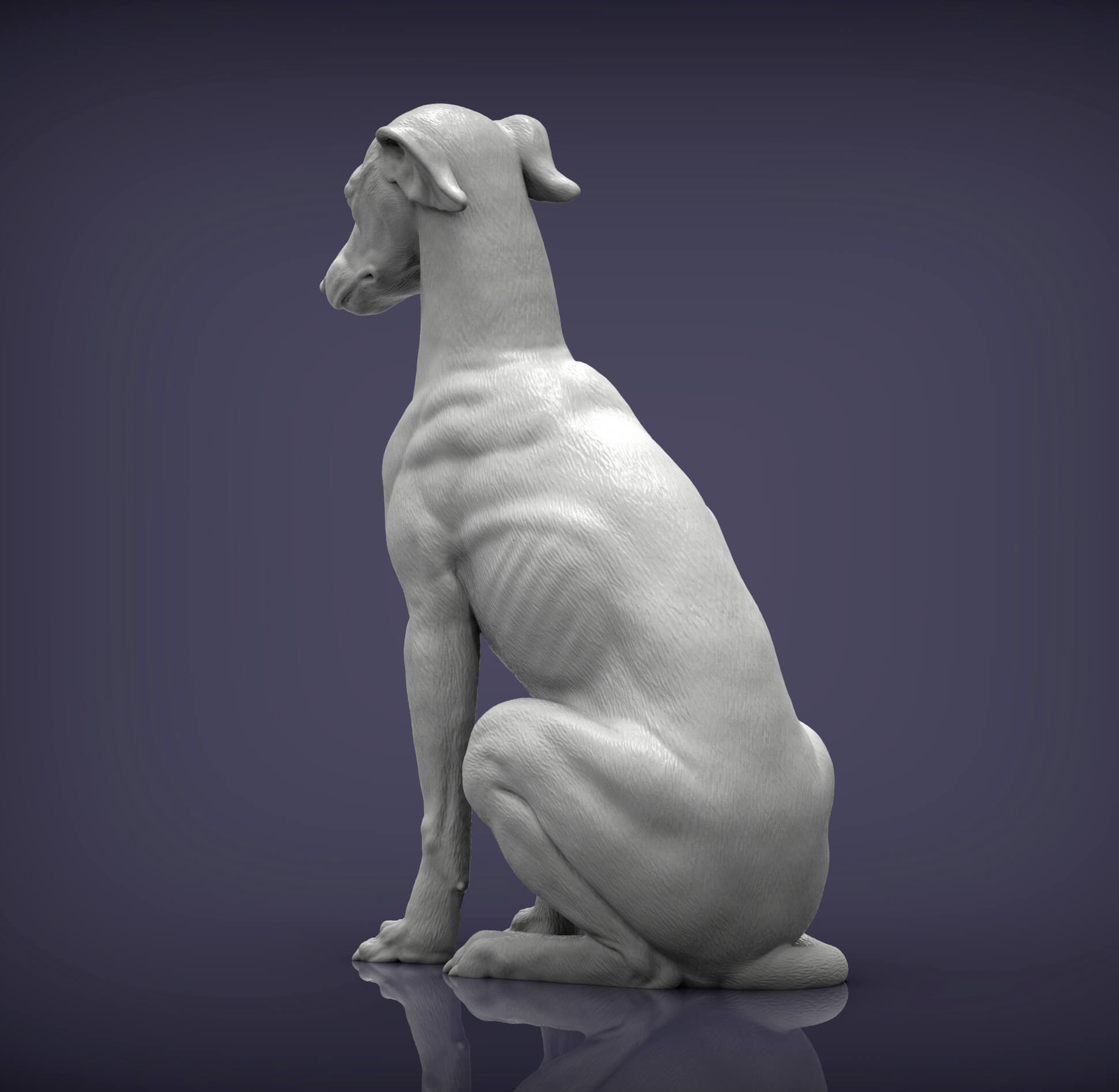 Greyhound Sitting 3D Print Model by Alexander3dart