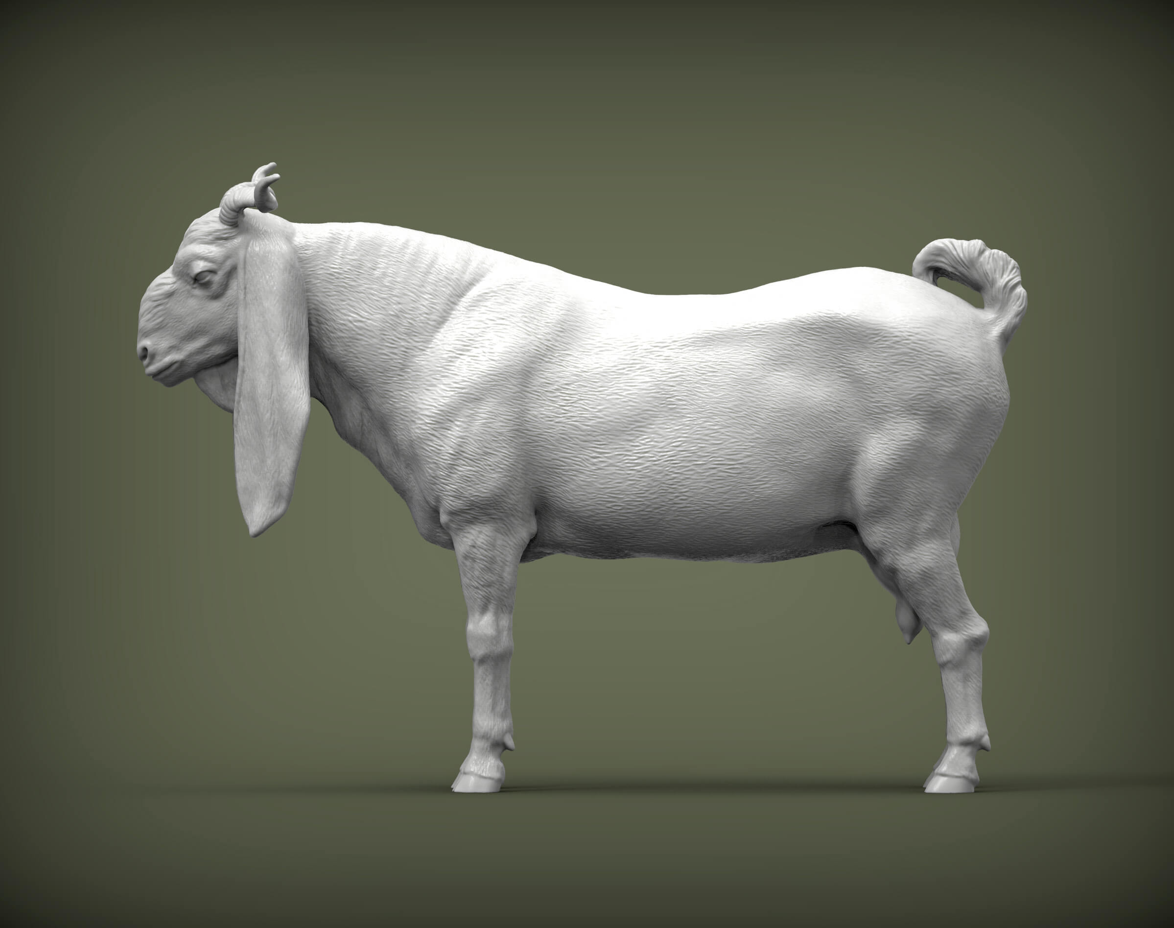 Gulabi Goat 3D Print Model by Alexander3dart