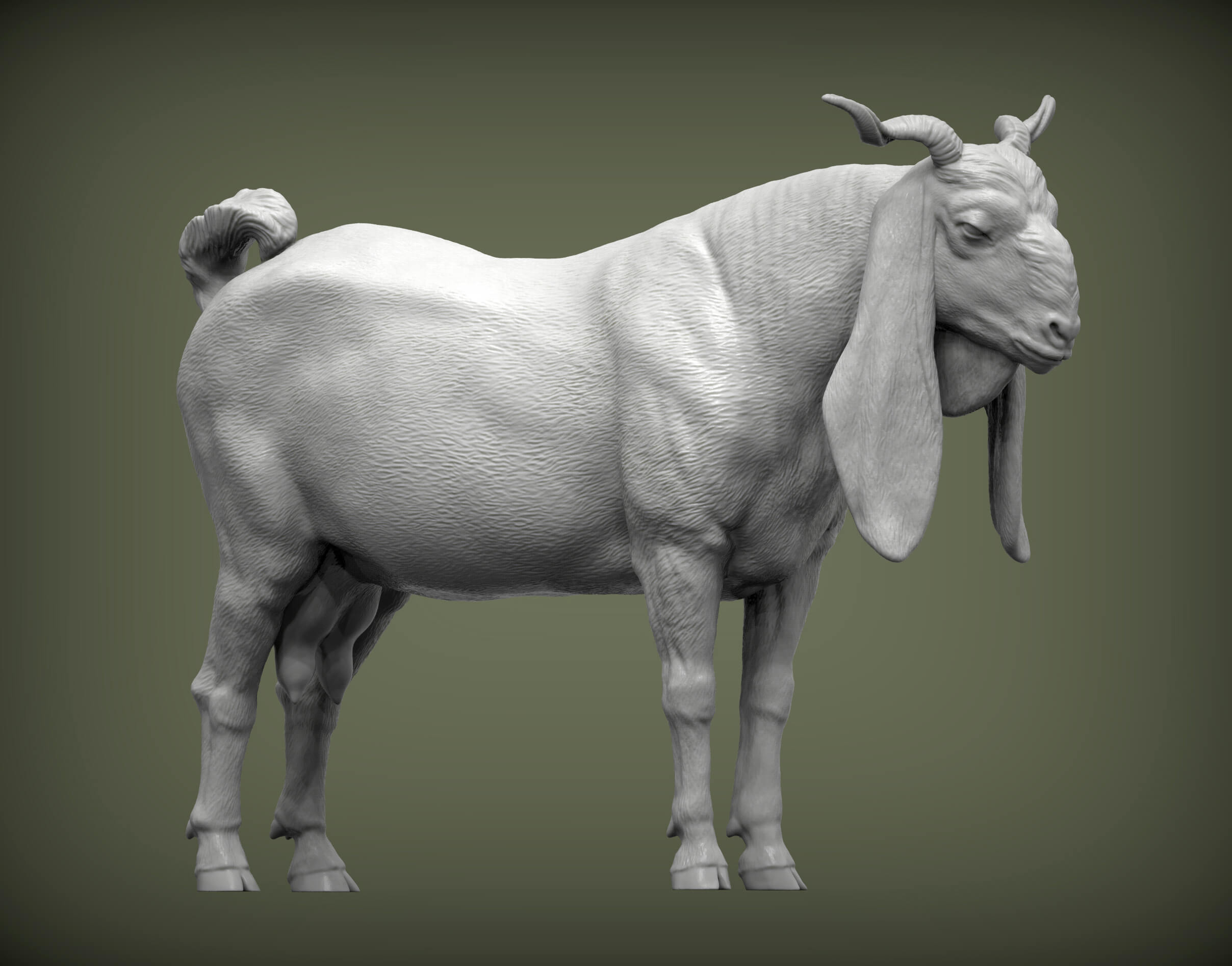 Gulabi Goat 3D Print Model by Alexander3dart