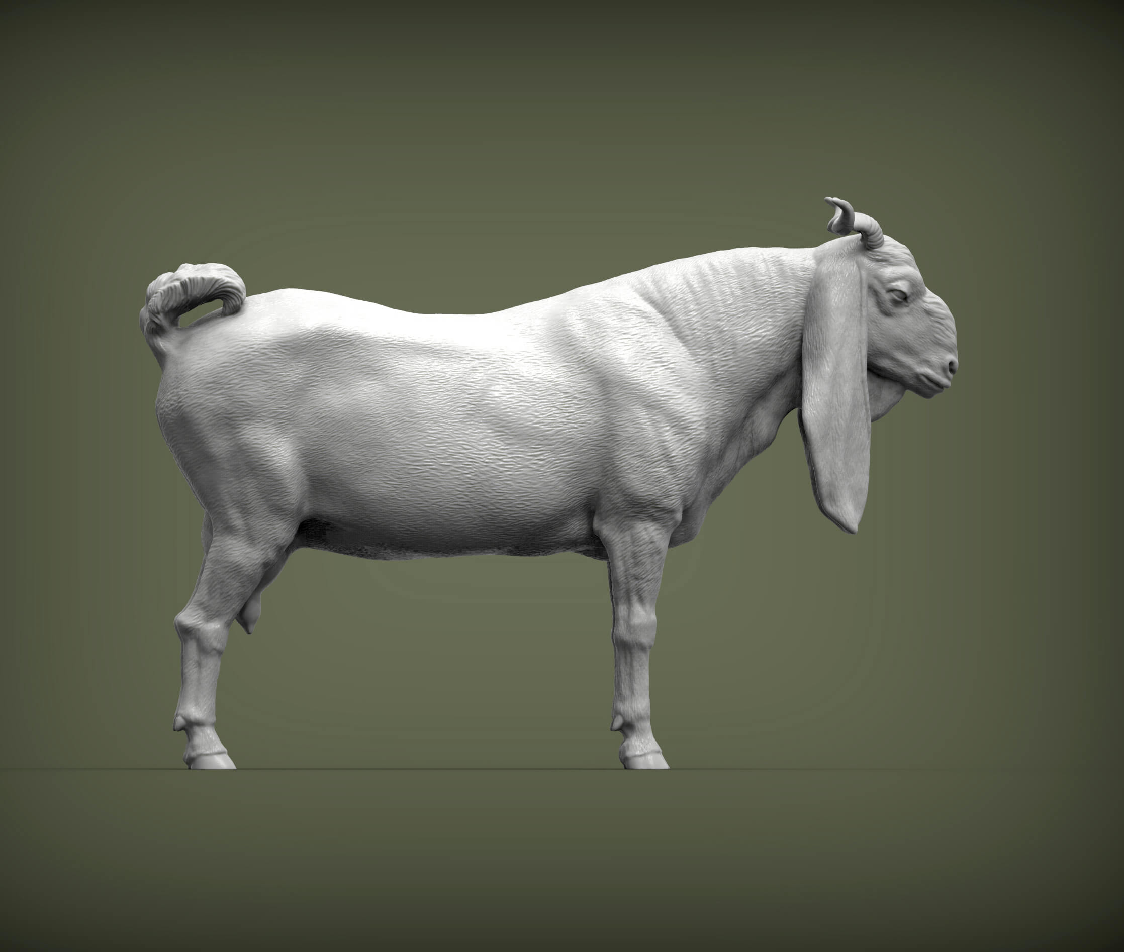 Gulabi Goat 3D Print Model by Alexander3dart