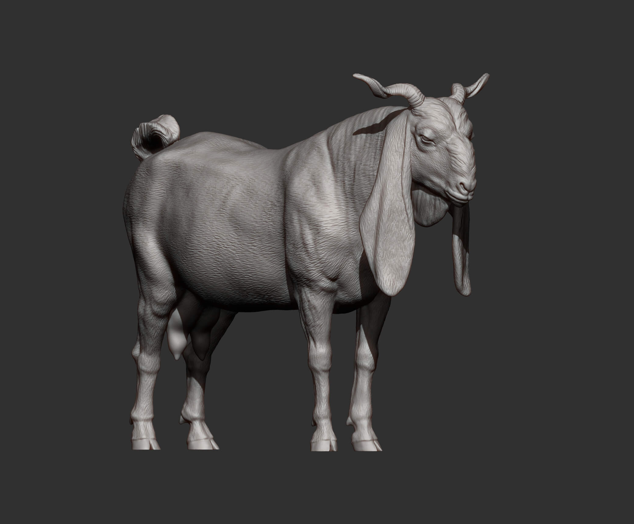 Gulabi Goat 3D Print Model by Alexander3dart