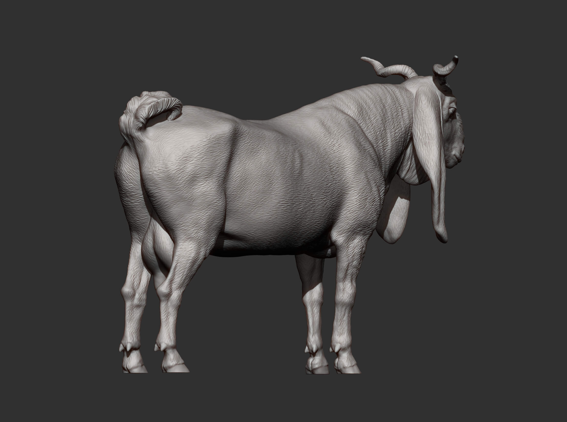 Gulabi Goat 3D Print Model by Alexander3dart
