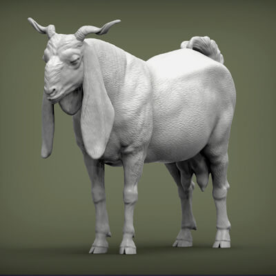 Gulabi Goat 3D Print Model by Alexander3dart