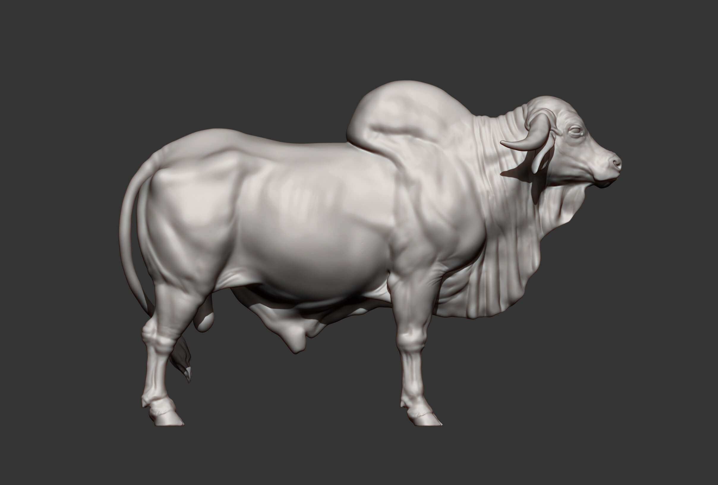 Gyr Bull 3D Print Model by Alexander3dart