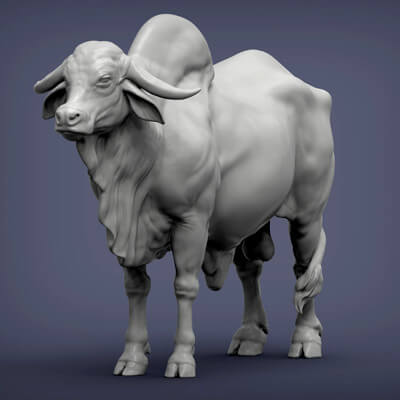 Gyr Bull 3D Print Model by Alexander3dart