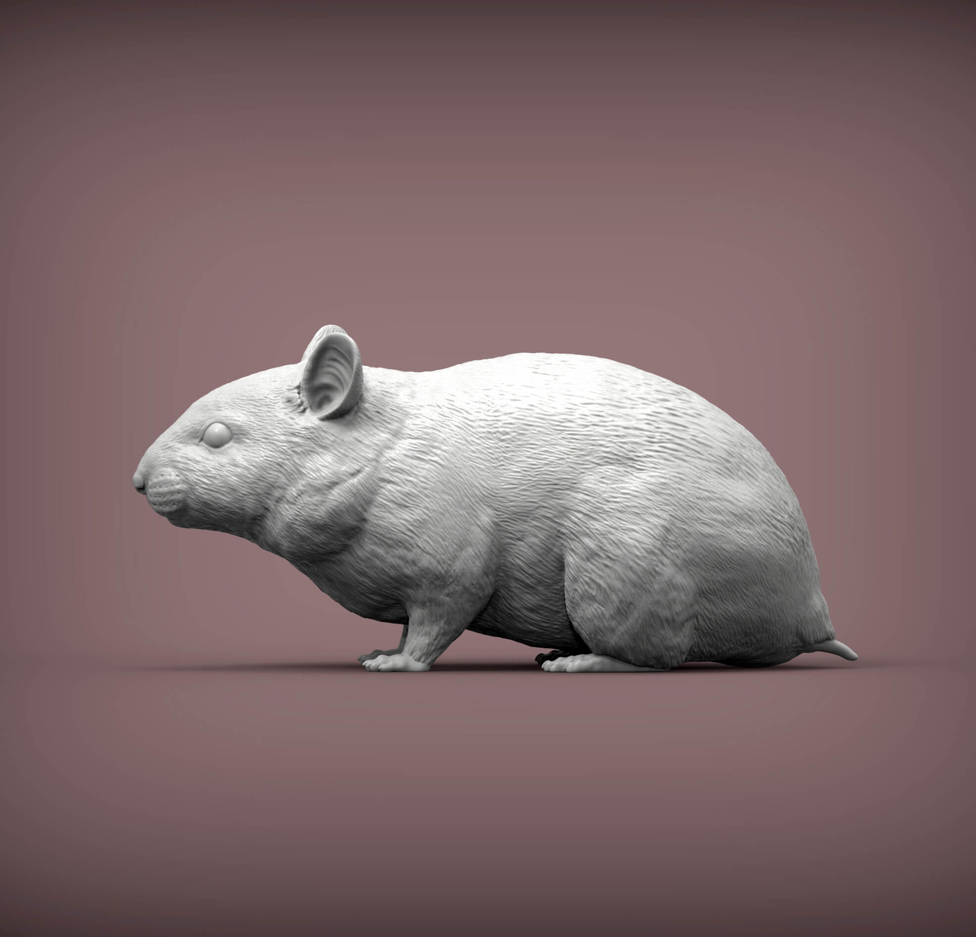 Hamster Sculpture - 3D Model by Alexander3dart