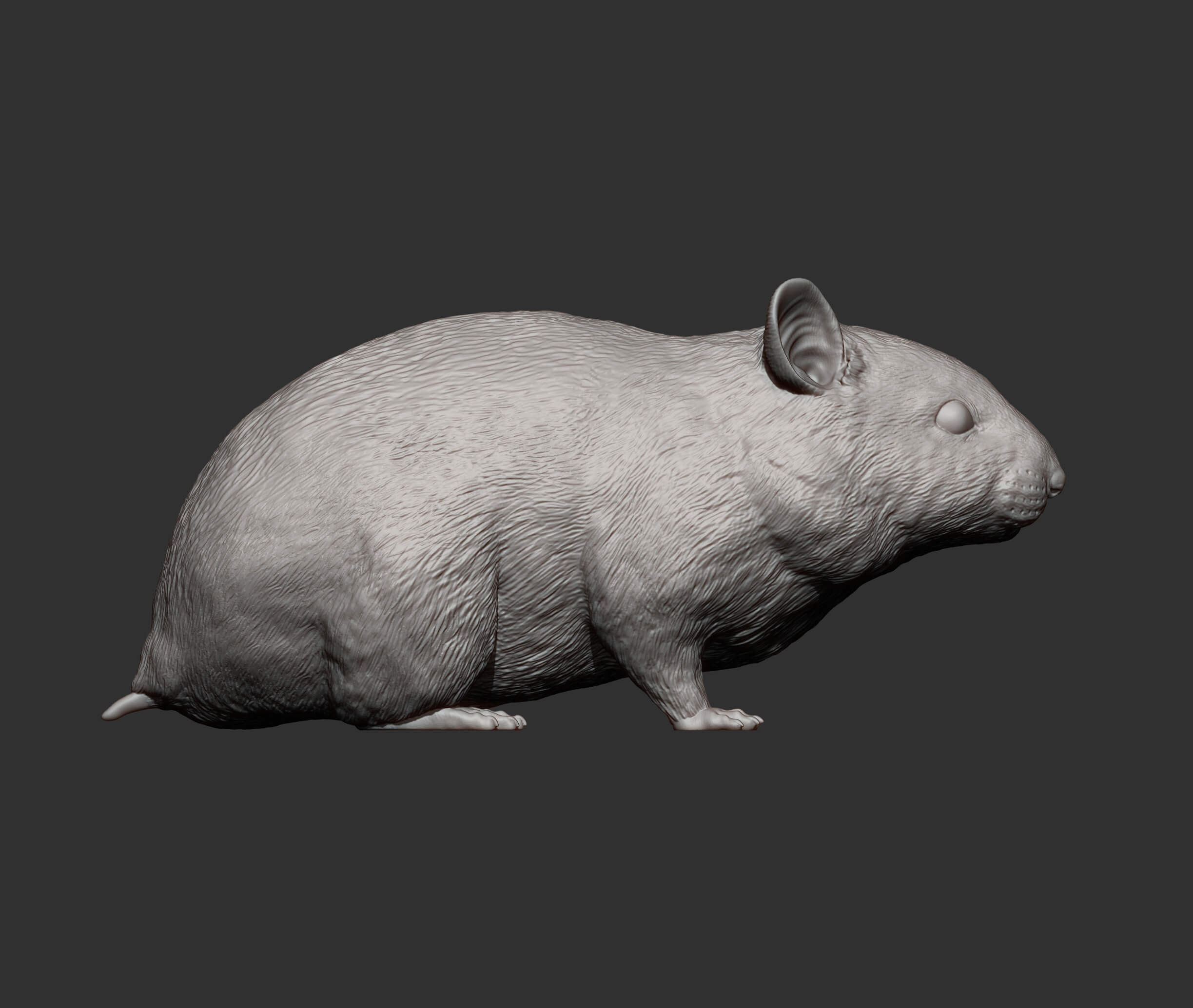Hamster Sculpture - 3D Model by Alexander3dart