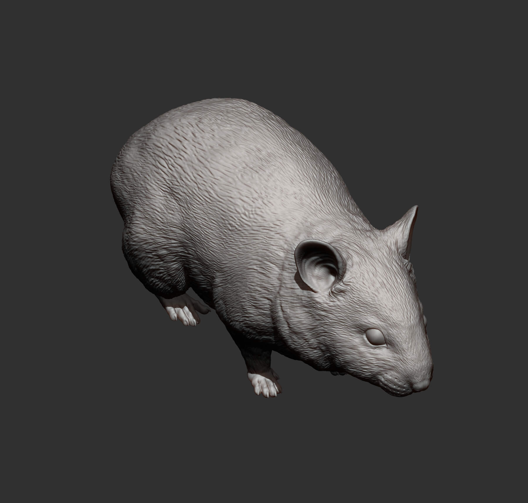 Hamster Sculpture - 3D Model by Alexander3dart
