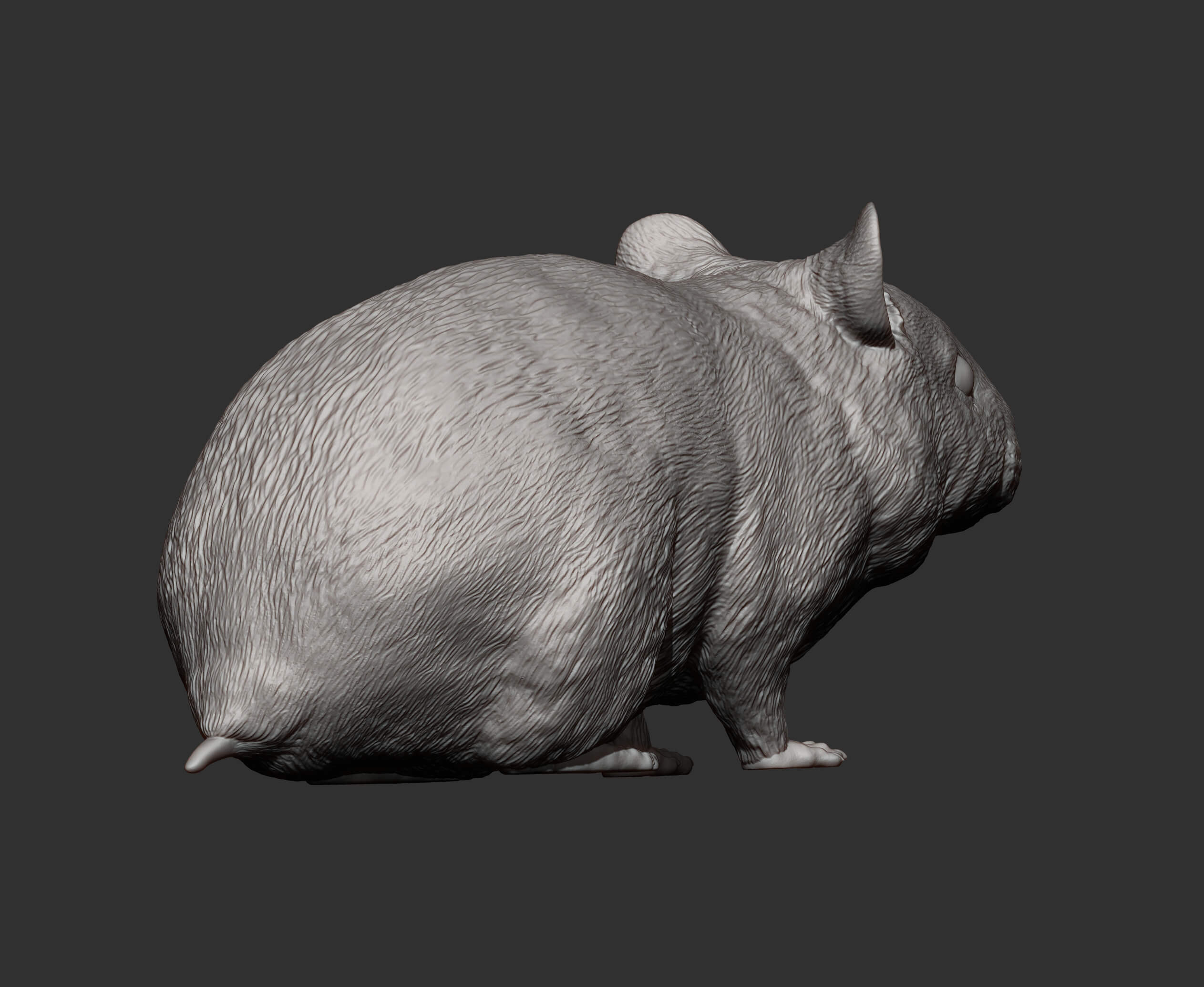 Hamster Sculpture - 3D Model by Alexander3dart