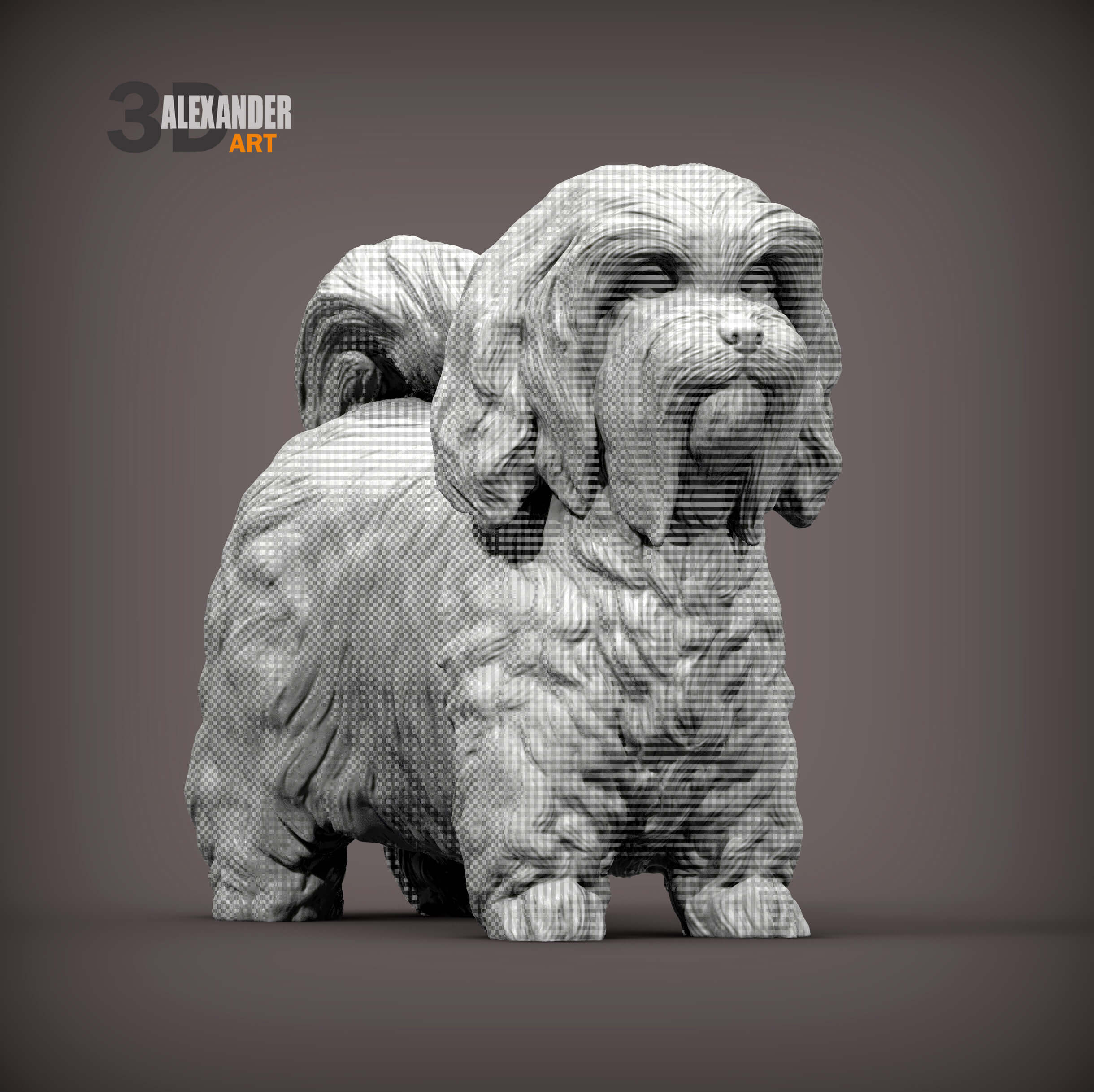 Havanese Dog - 3D Model by Alexander3dart