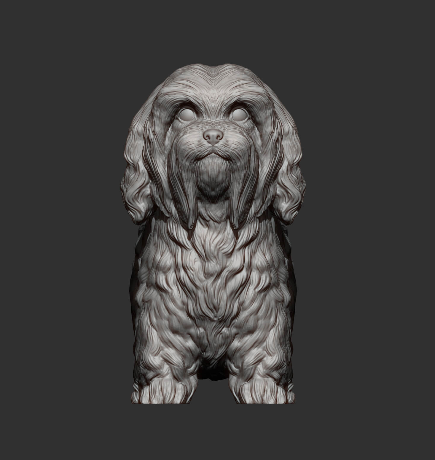Havanese Dog - 3D Model by Alexander3dart