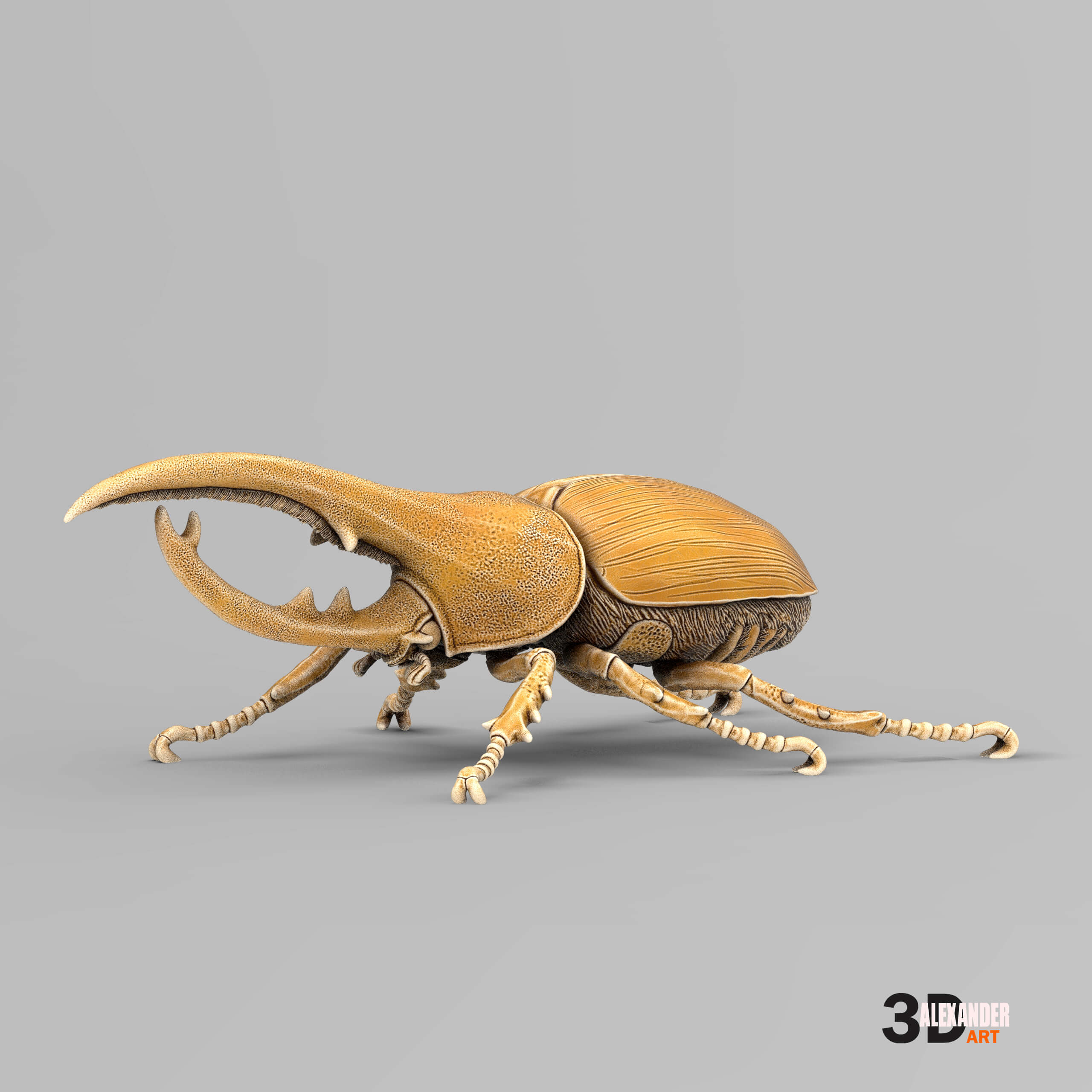 Hercules Beetle - 3D Model by Alexander3dart