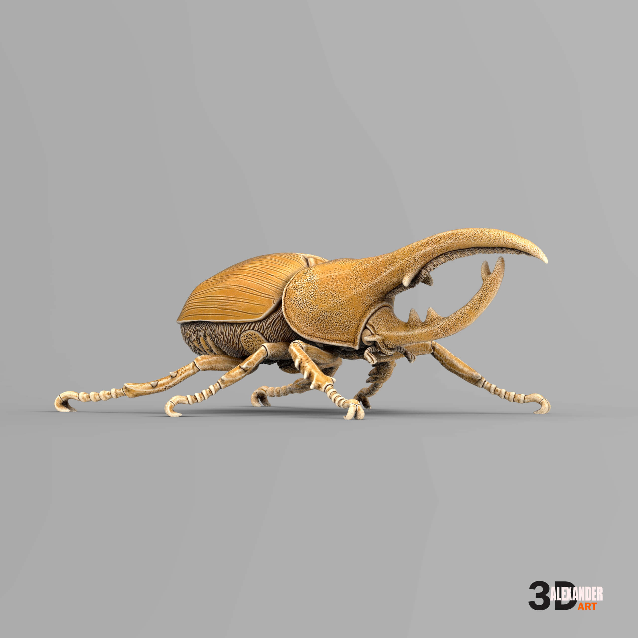 Hercules Beetle - 3D Model by Alexander3dart