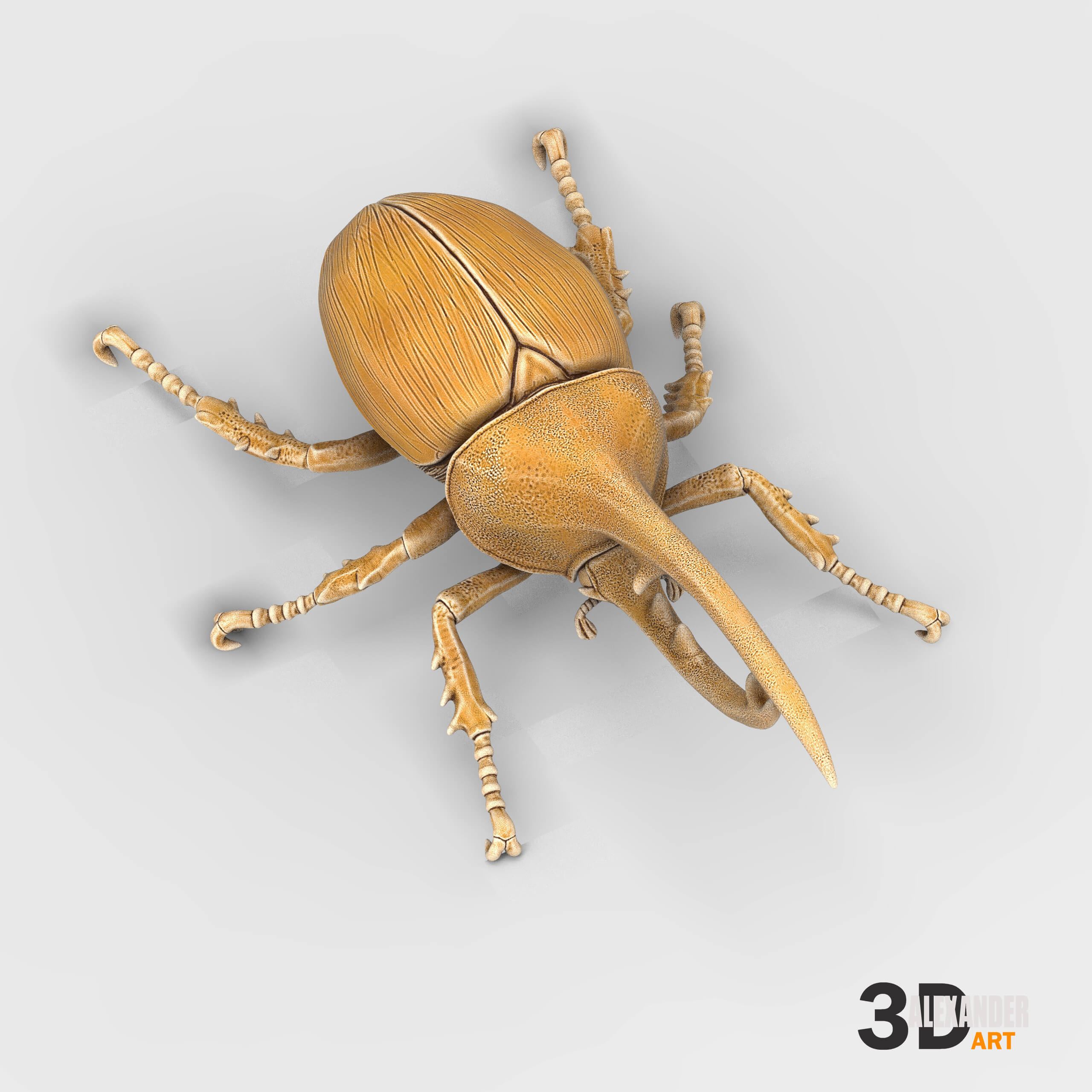 Hercules Beetle - 3D Model by Alexander3dart